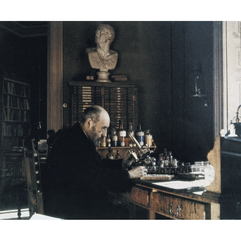 Ramon Y Cajalsantiago (1852-1934). Spanish Doctor And Histologistnobel ...