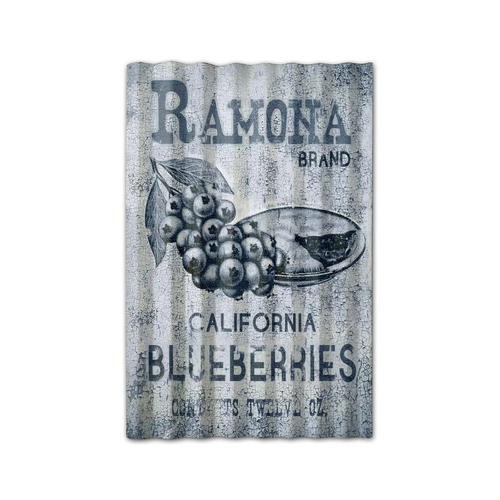 Ramona Blueberries Corrugated Vintage Sign “Made in the USA with heavy ...