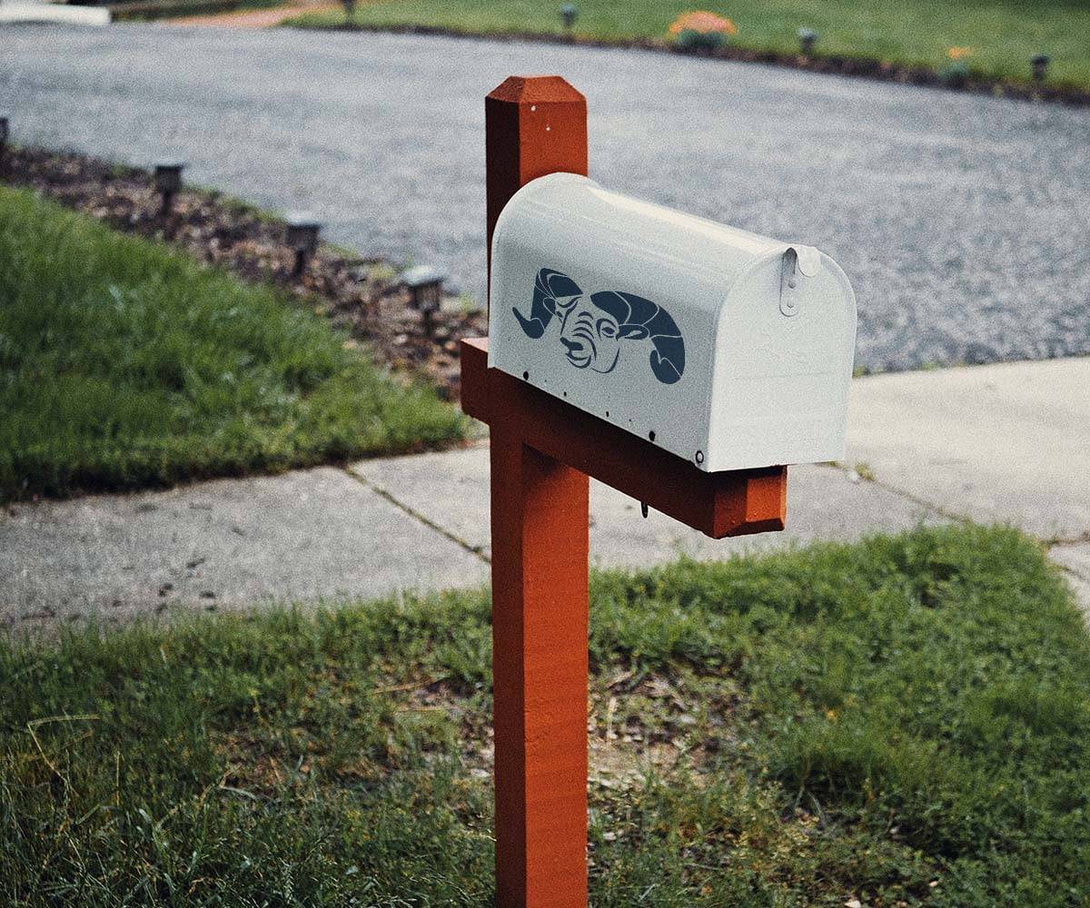 Rams Head Stencil - Art and Wall Stencil (18"x12") - Walmart.com