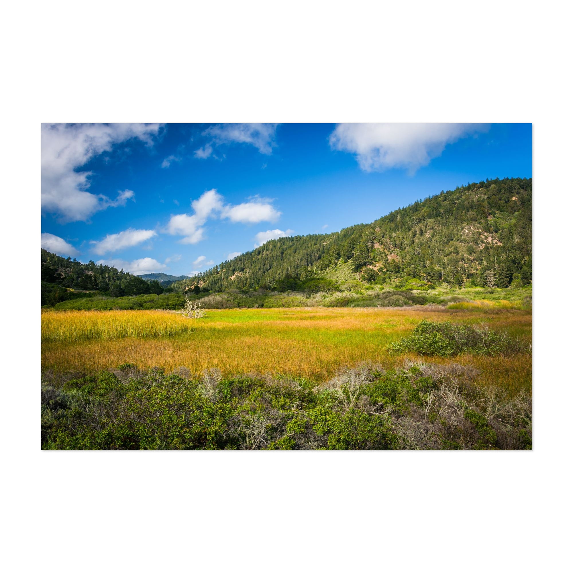Rancho del Oso - Santa Cruz California Photography Unframed Wall Art ...