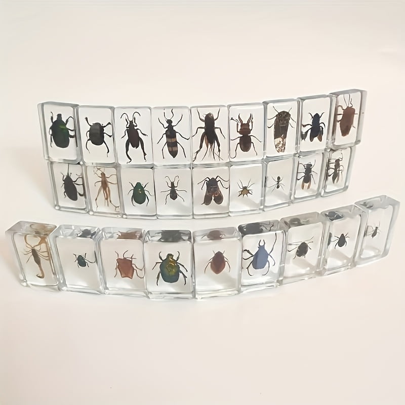 Randomly selected 6 transparent amber simulated insect specimens ...
