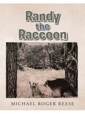 Randy the Raccoon - Walmart.com