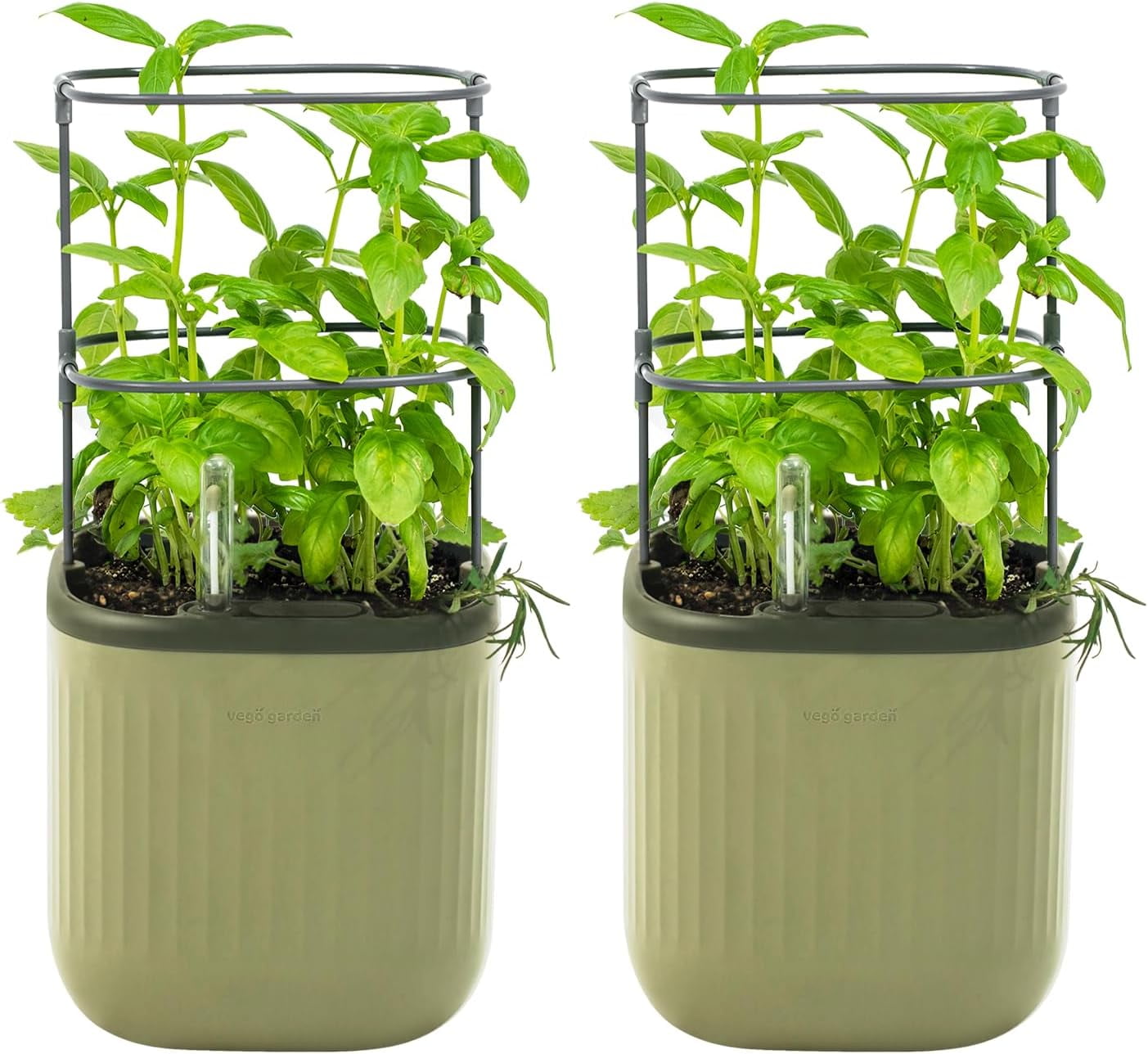 Rang Mini Planter Indoor Pots with Trellis Self-Watering Herb ...