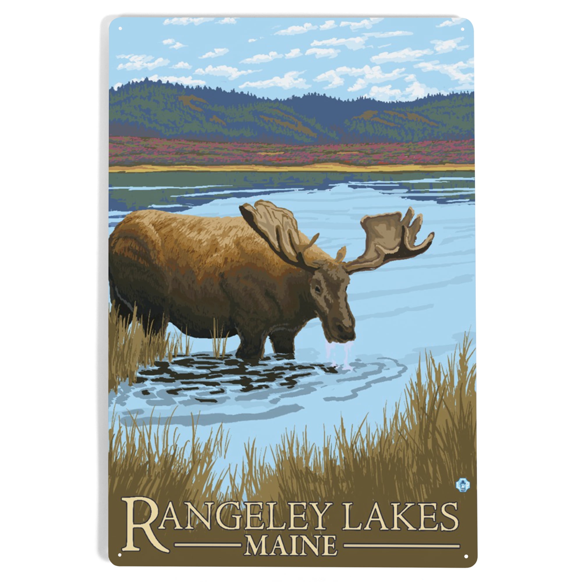 Rangeley, Maine, Moose Drinking at Lake (12x18 Aluminum Art, Indoor ...