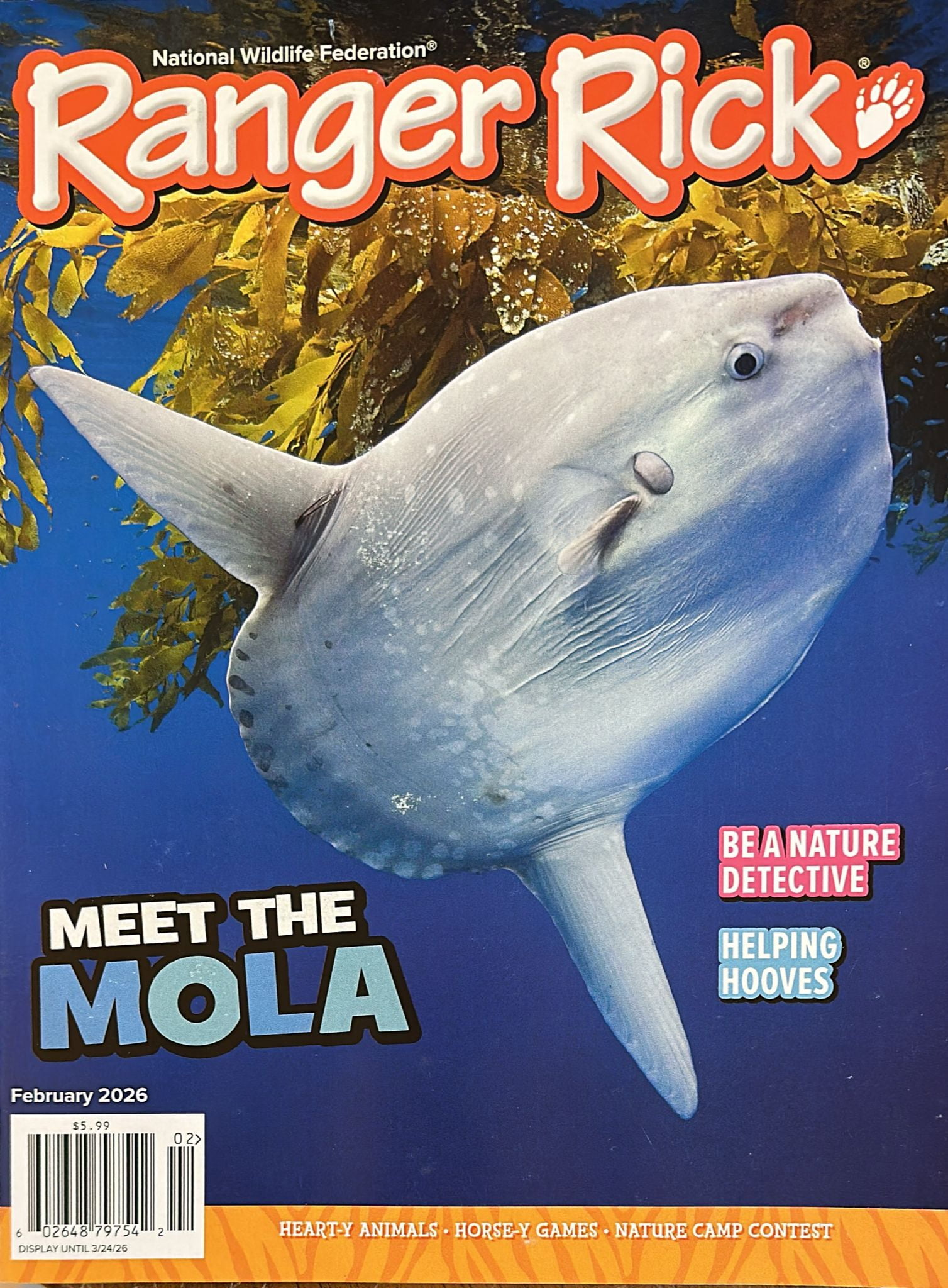 Ranger Rick Magazine February 2026 - Walmart.com