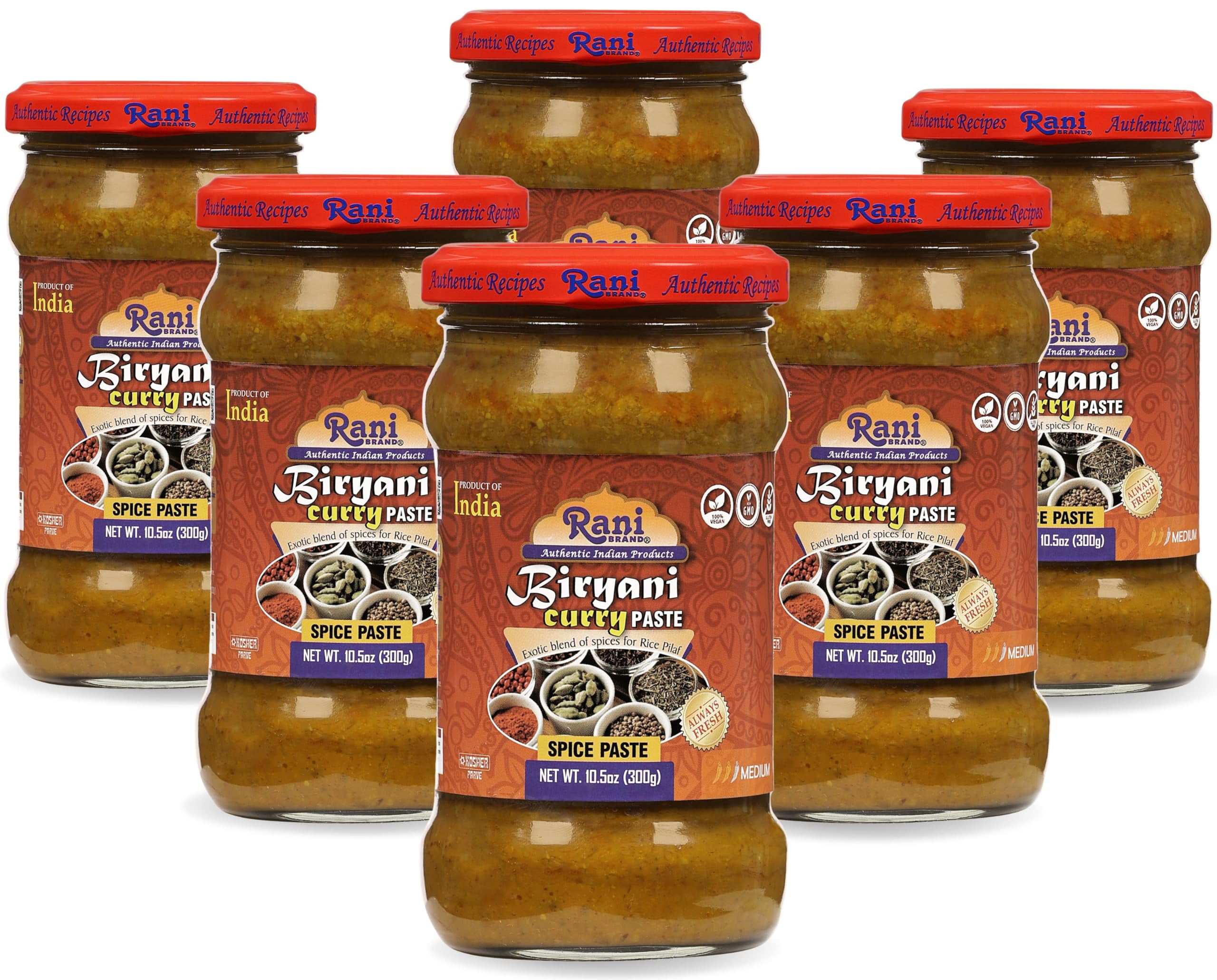 Rani Biryani Masala Curry Paste (Cooking Spice Paste for Indian Rice ...