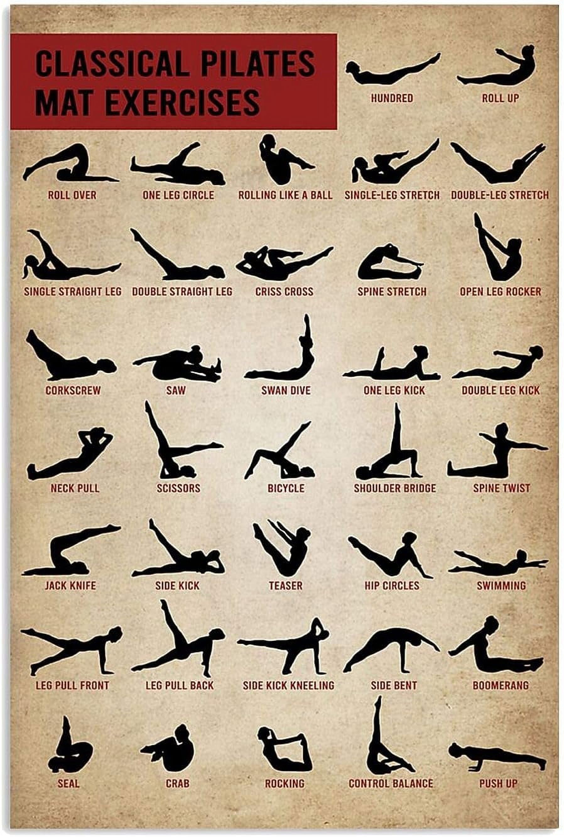 Rank Chart Infographic Metal Sign Fighting Martial Arts Belt Level ...