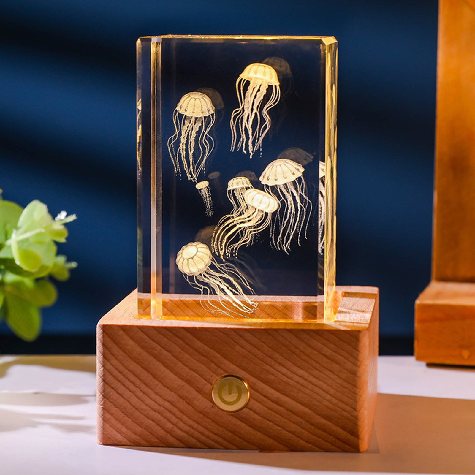 Ranliy 3D Laser Etched Crystal Dolphin Gifts for Women Men,Dolphin ...