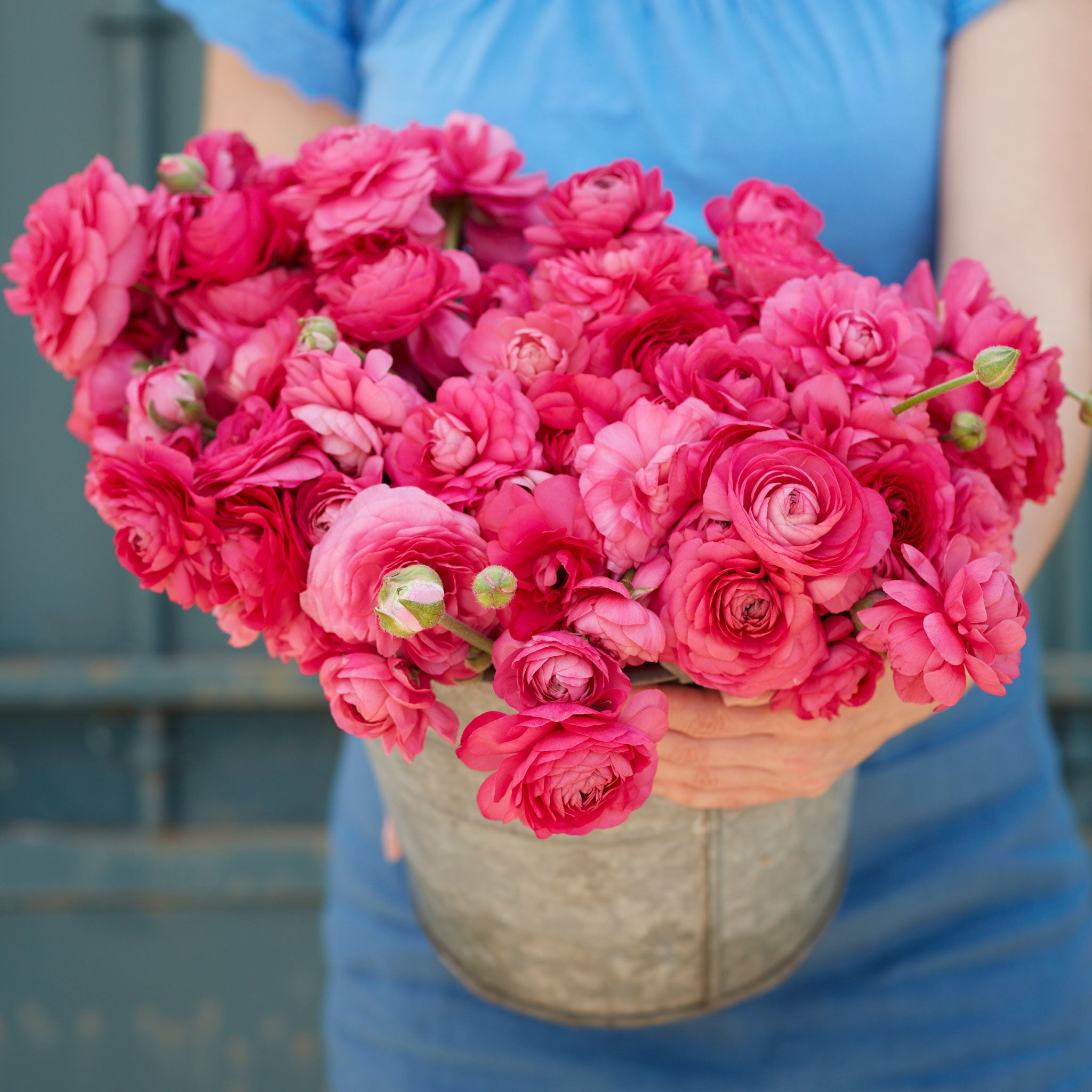 Red Ranunculus Bouquet