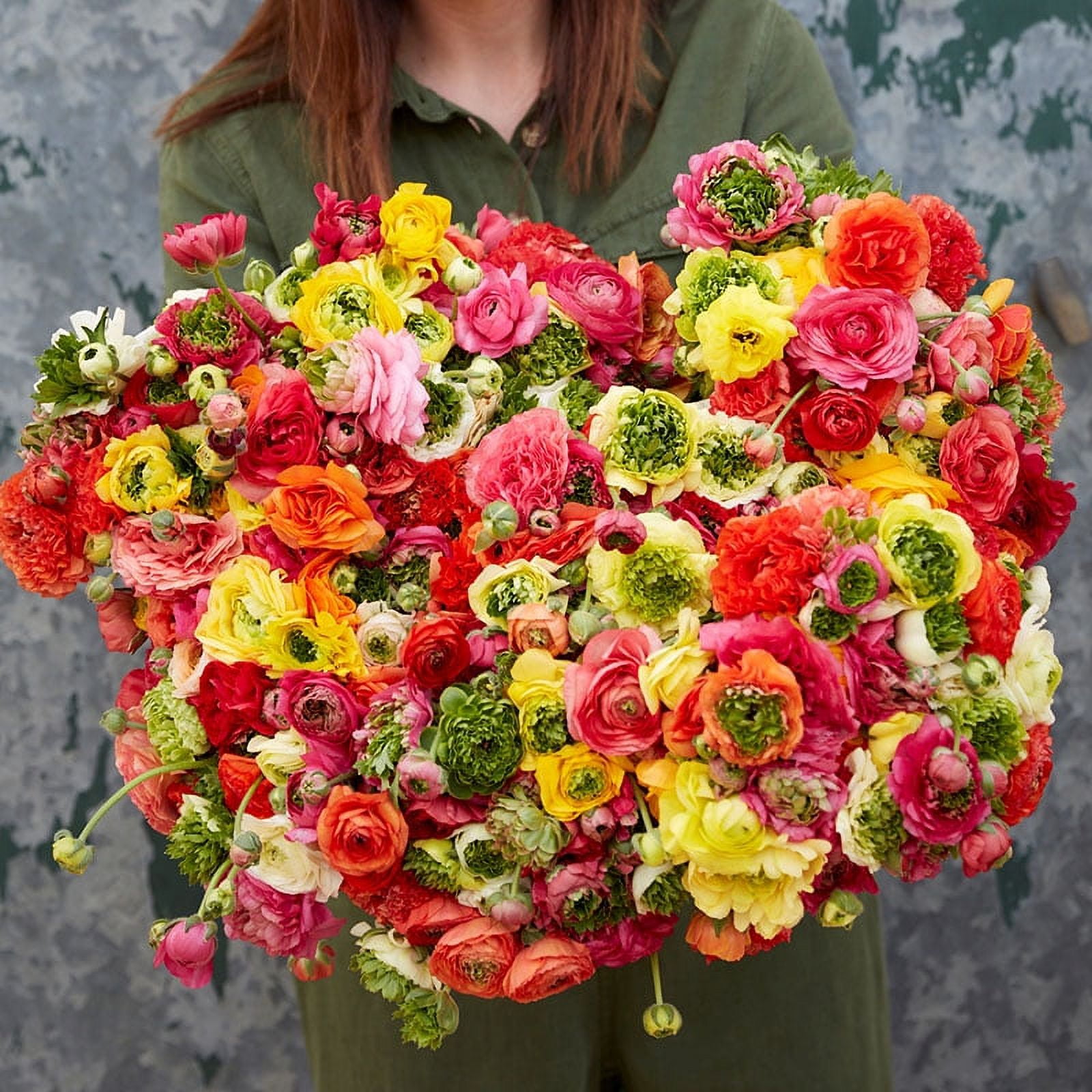 Eden Brothers Ranunculus Bulbs - Super Green Mix - Walmart.com