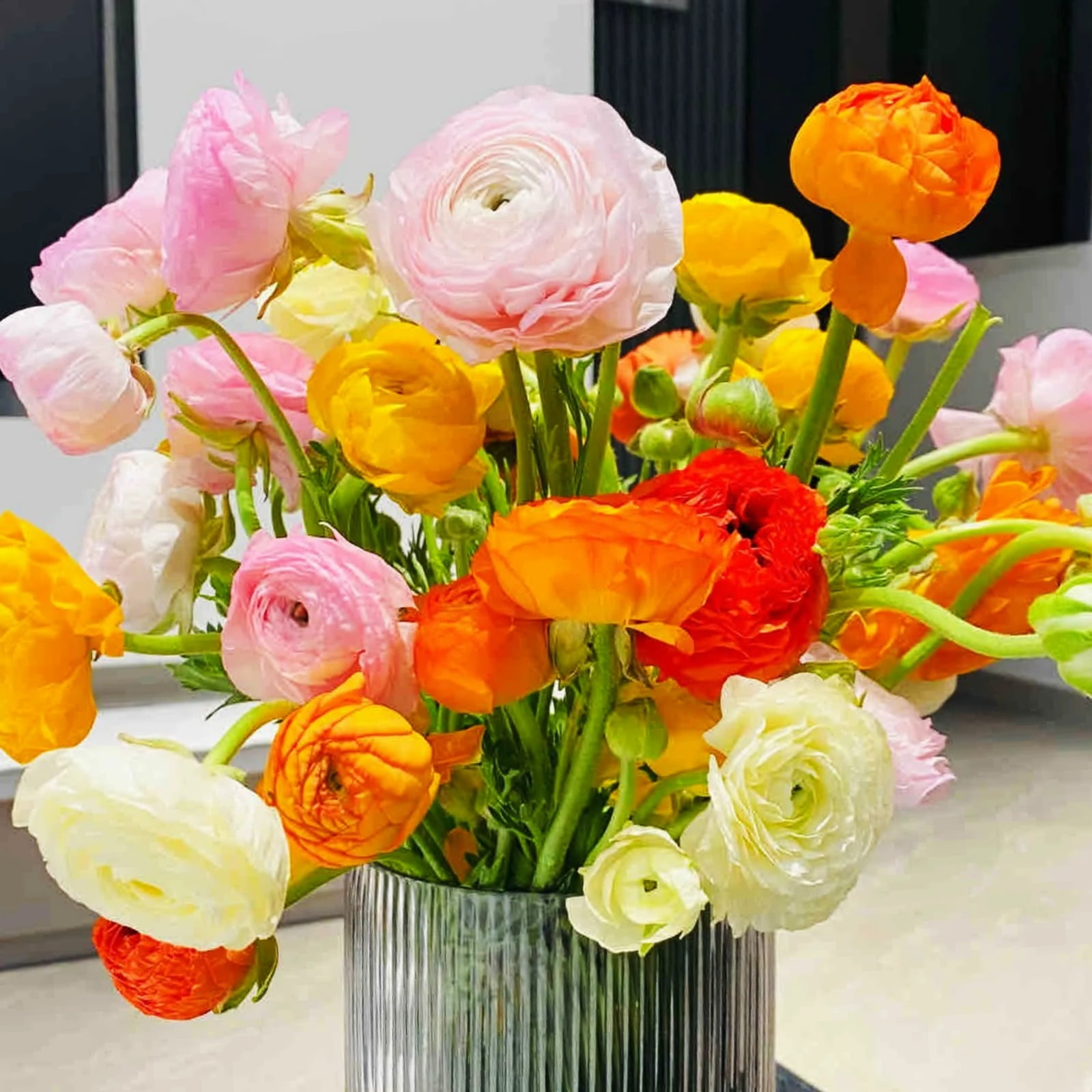 Ranunculus-Garden decoration,Easy Planting - Walmart.com