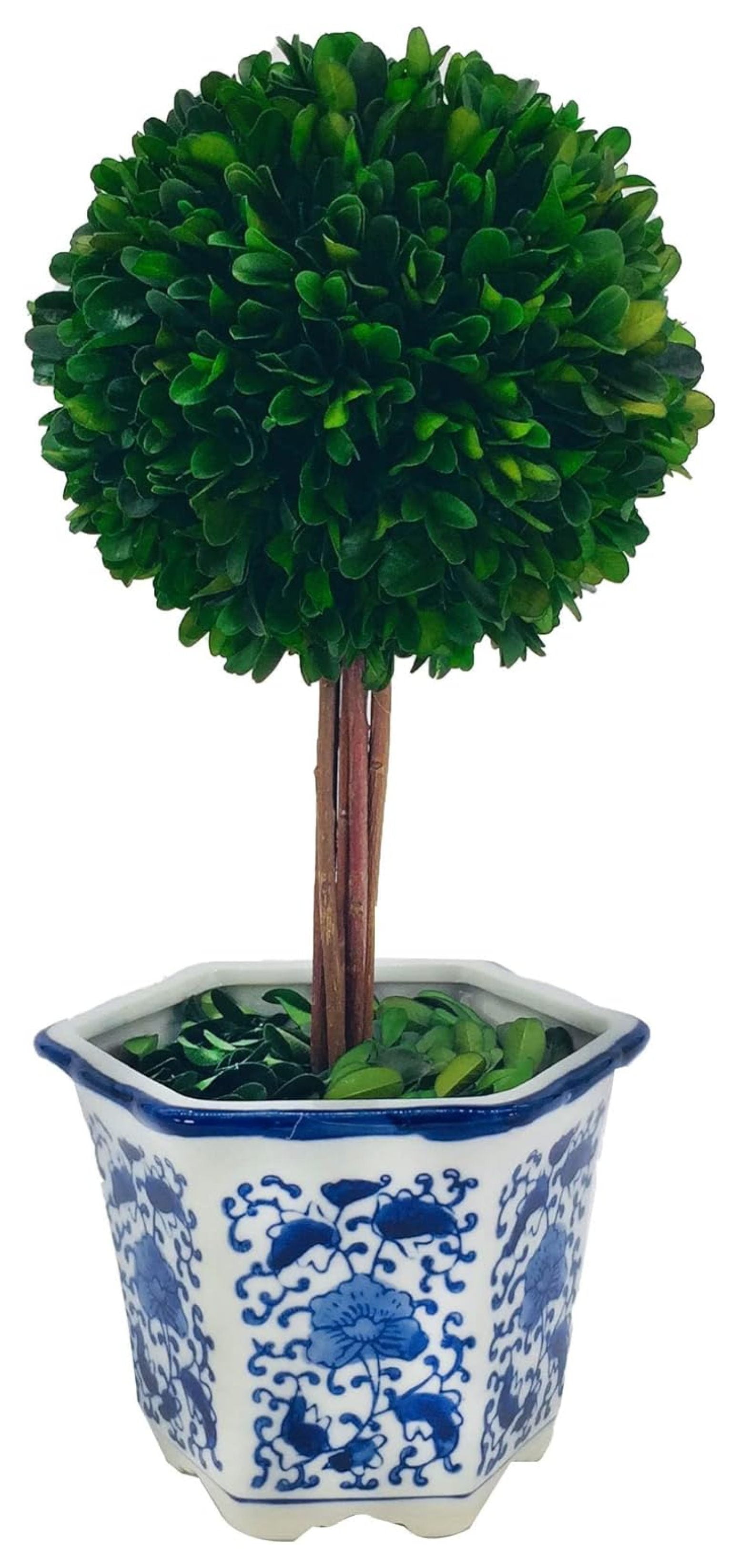 Ranyuaxu Preserved Boxwood Topiary Tree in Ceramic Pot Plant and Table ...