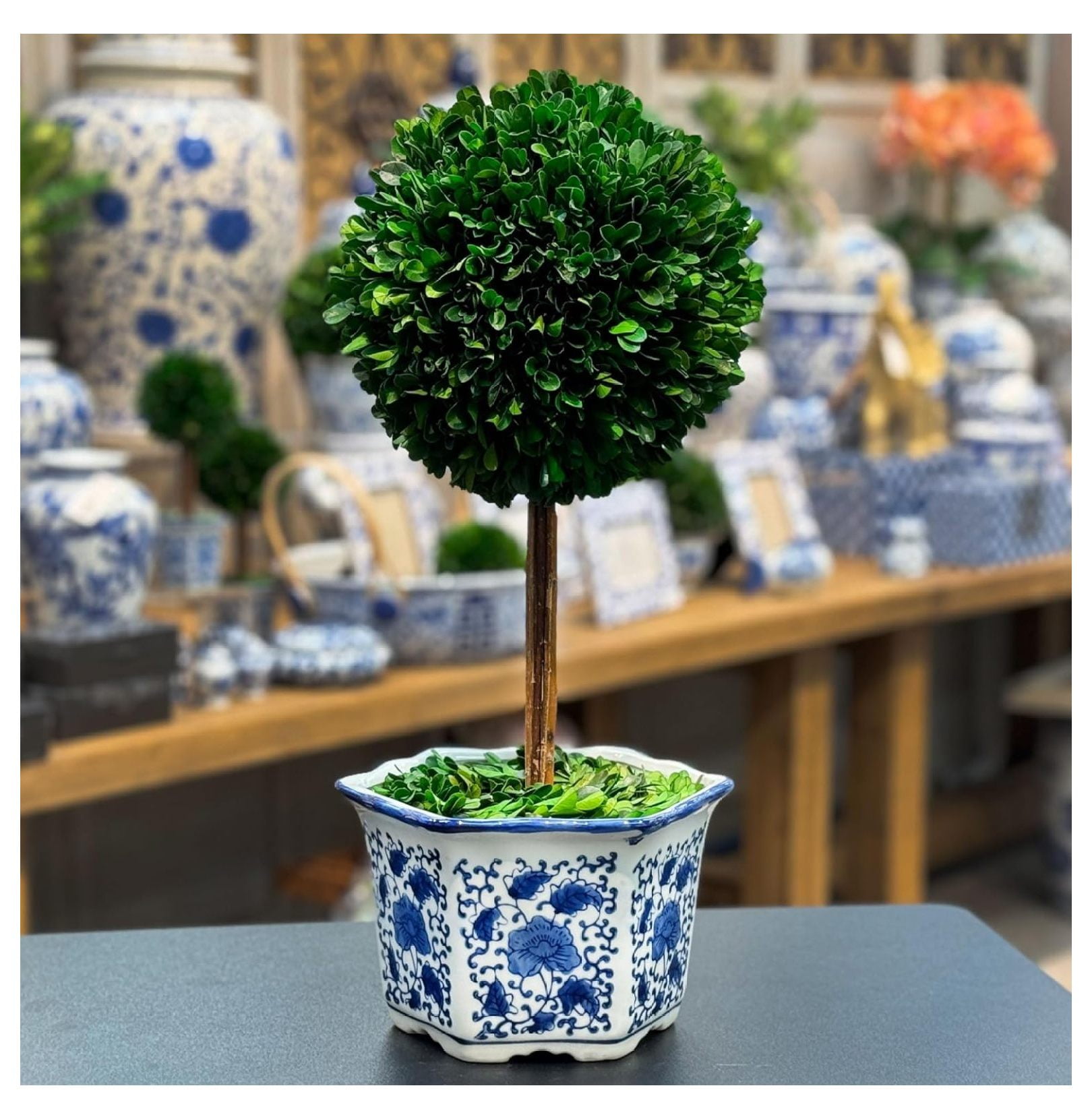 Ranyuaxu Preserved Boxwood Topiary Tree in Ceramic Pot Plant and Table ...
