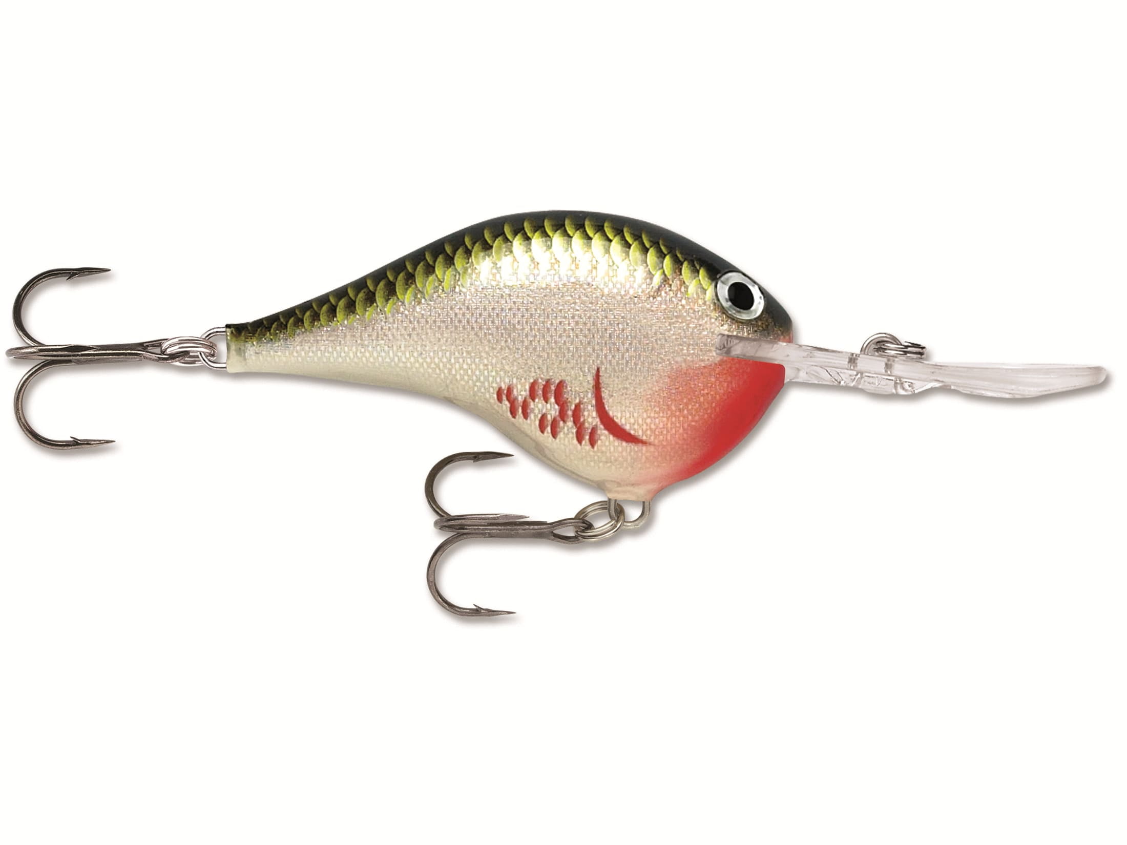 Rapala DT 10 Crankbait Bleeding Olive Shiner - Walmart.com