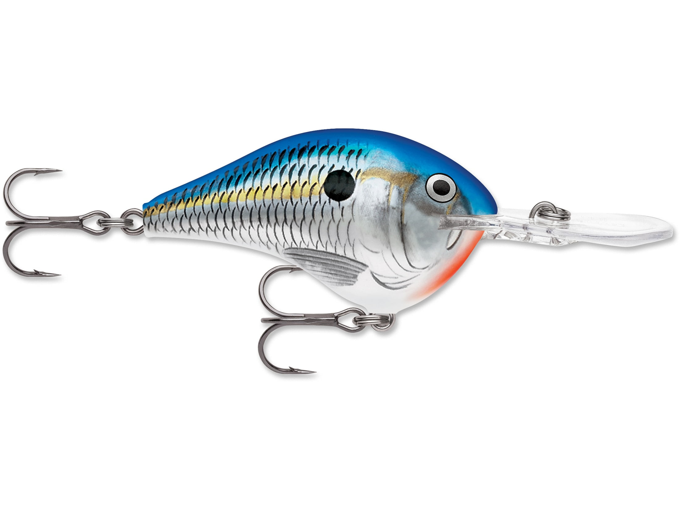 Rapala DT 8 Crankbait Blue Shad - Walmart.com