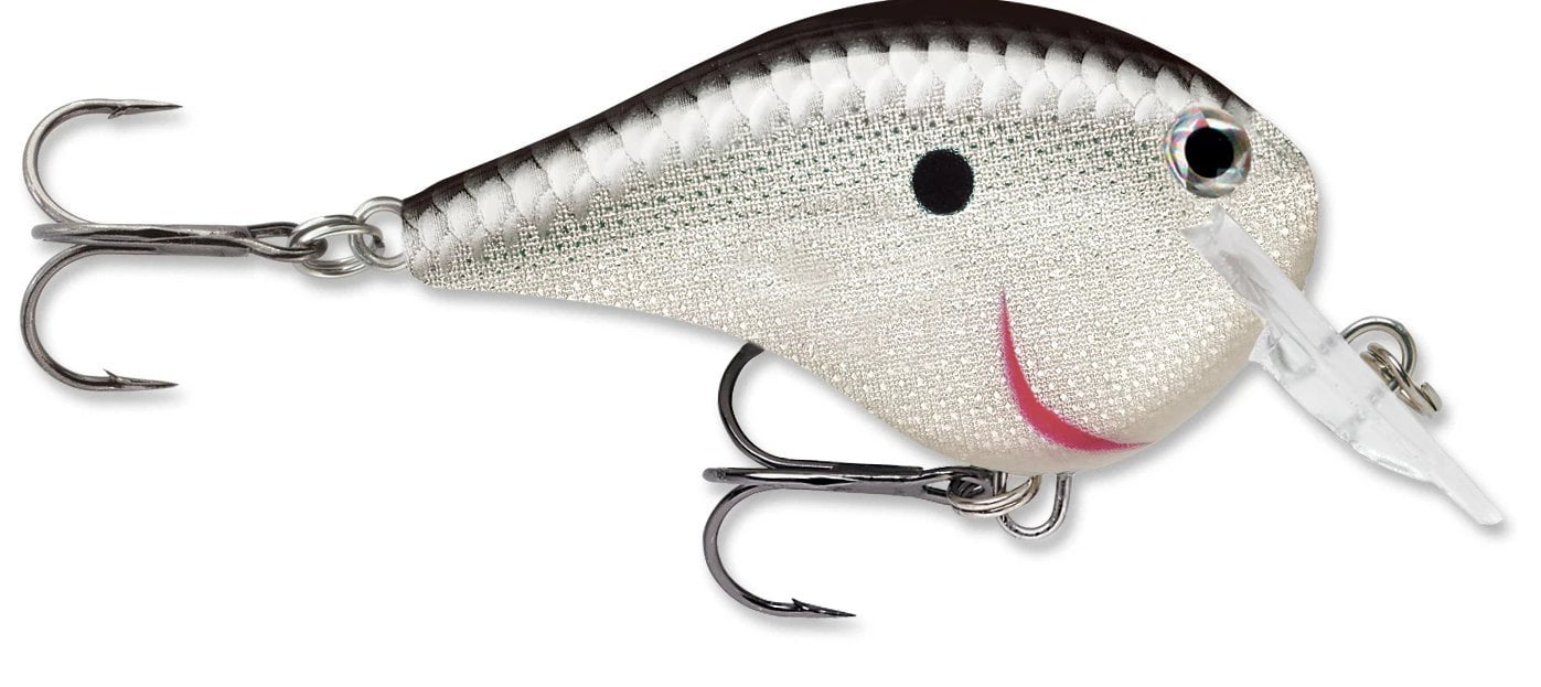 Rapala DT Fat 3 - Silver - Walmart.com