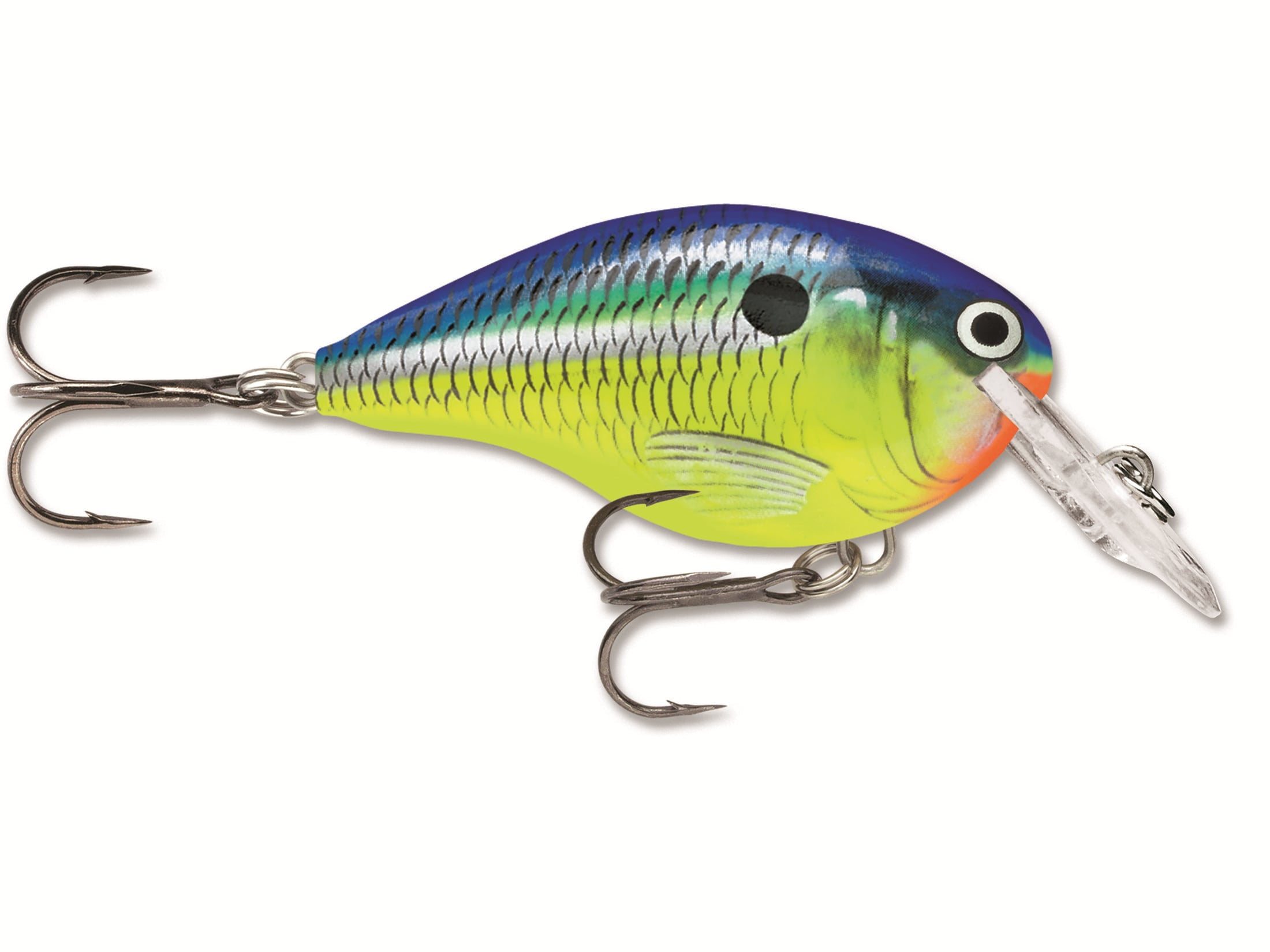 Rapala DT04PRT Bass 5/16 oz Parrot Crankbait Fishing Freshwater Lure ...