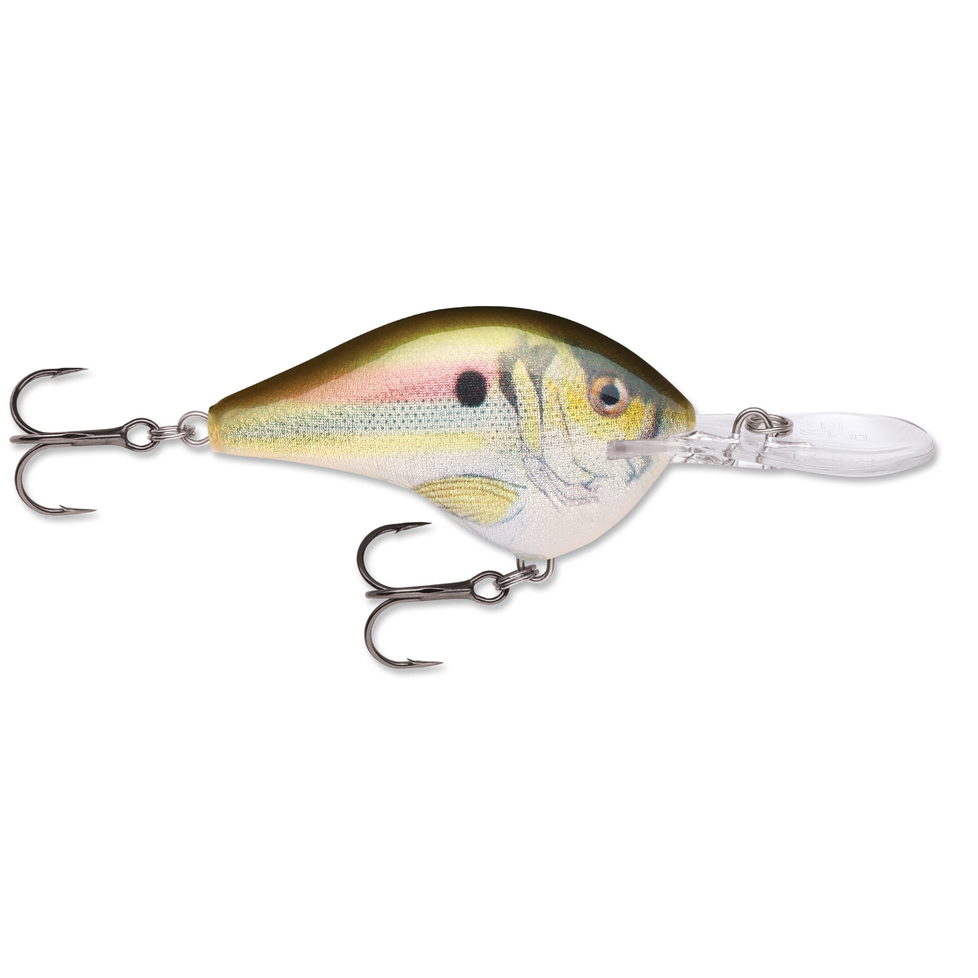 Rapala DT10 Crankbait 2" Fishing Lure 3/8oz Live River Shad - Walmart.com