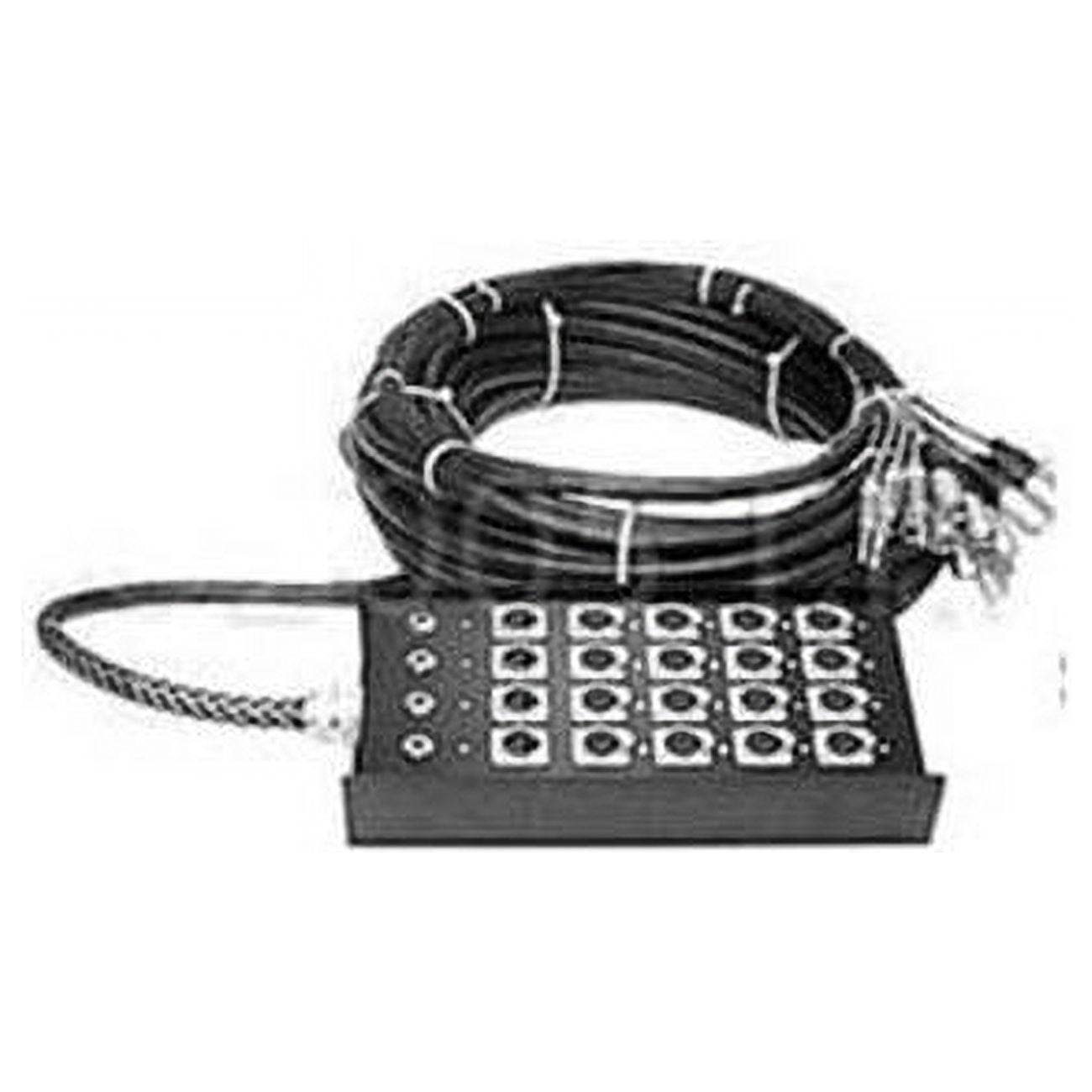 Rapco FBS-16F-25 12 x 4 in. 16 Channel Fan-Box Snake Cable with XLR-F ...
