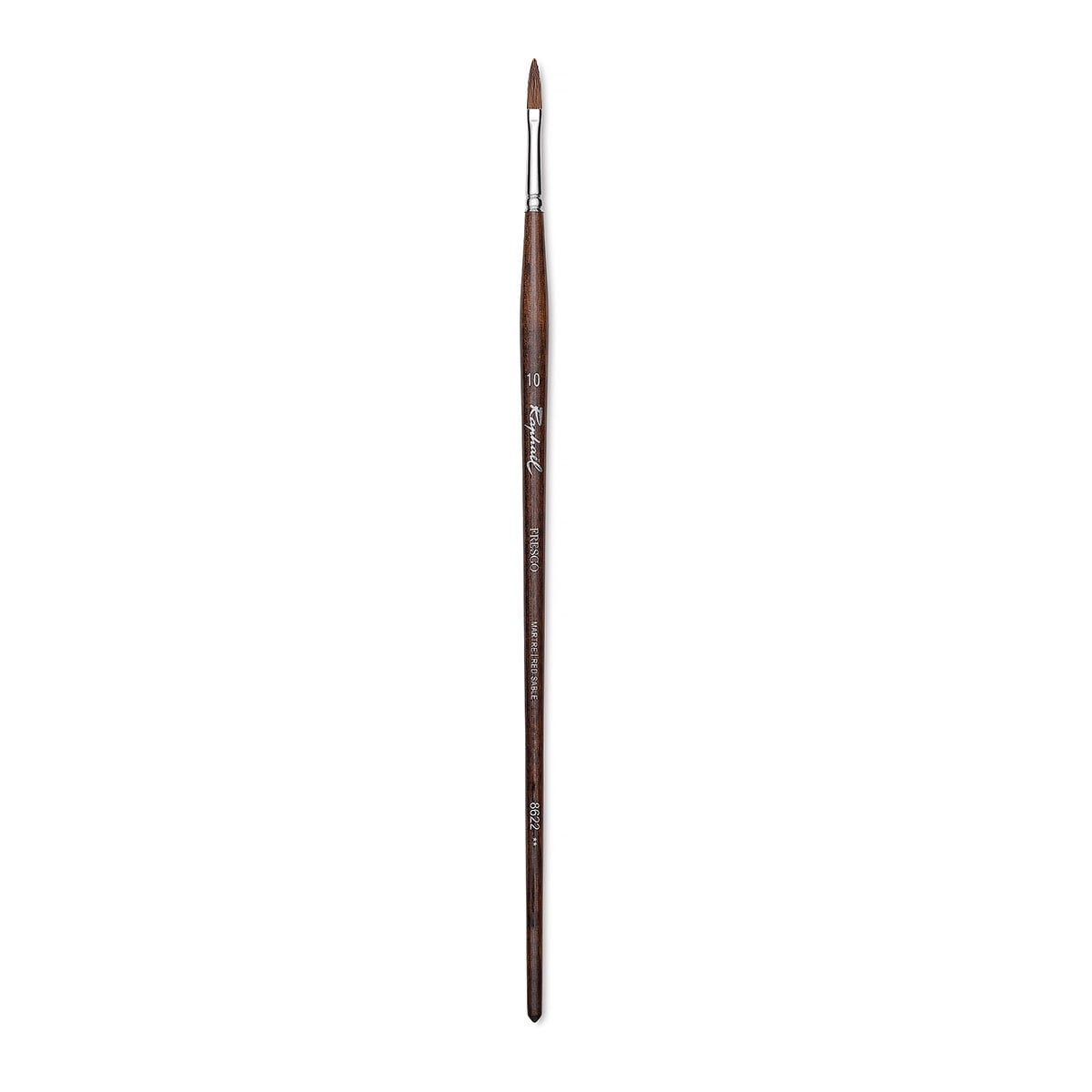 Raphaël Fresco Red Sable Brush - Long Pointed Filbert, Size 10, Long ...