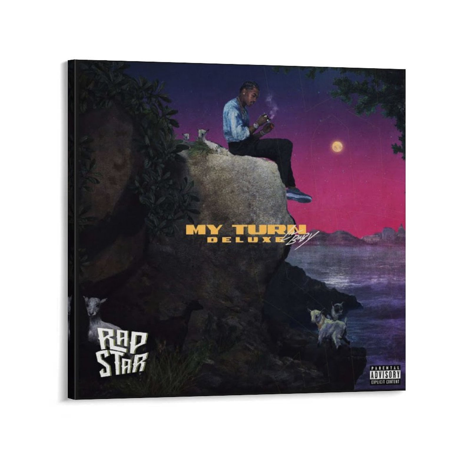 Rapper Lil Singer Baby Rap Hip Hop My Turn Music Album Cover Poster (1 ...