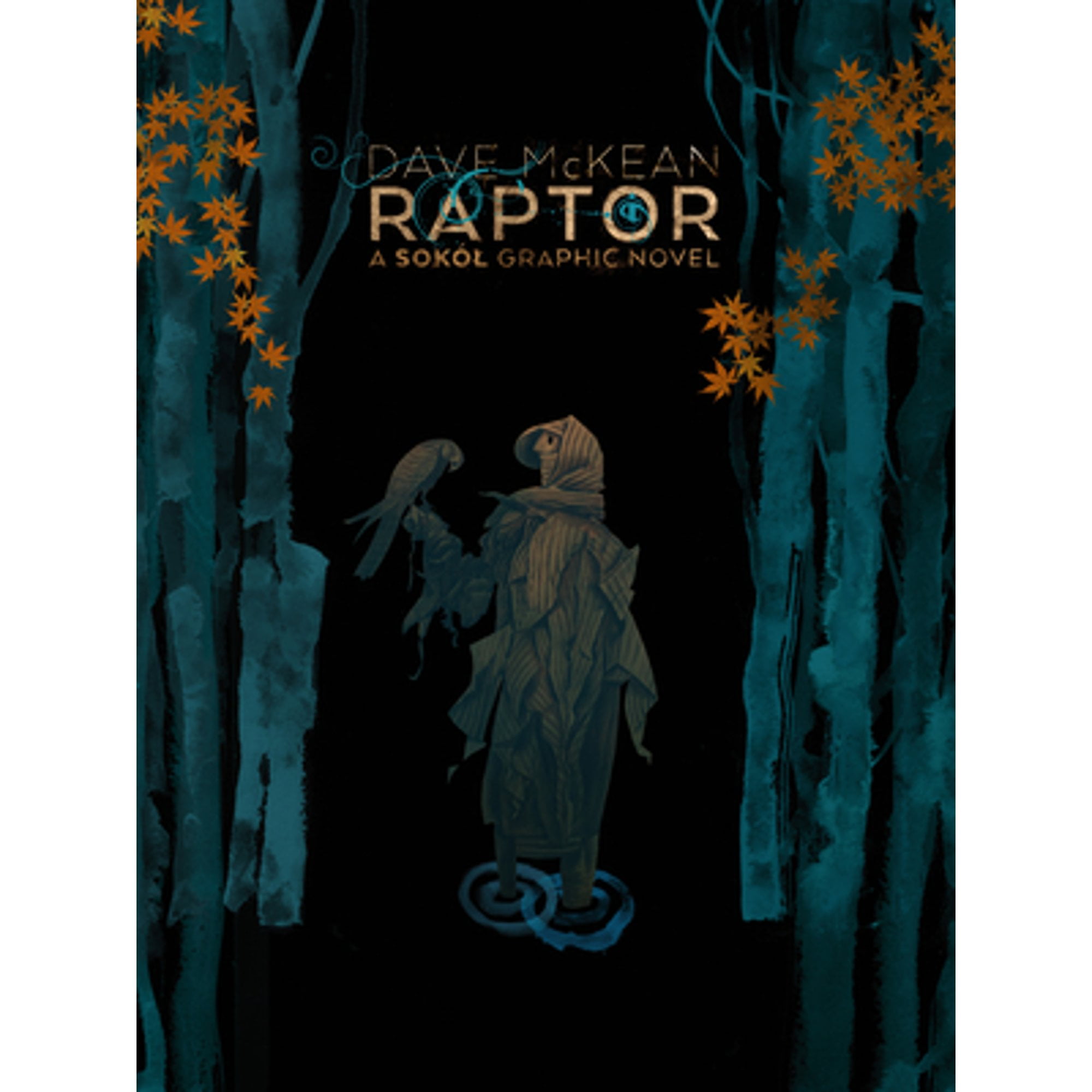 Pre-Owned Raptor: A Sokol Graphic Novel (Paperback) 1506720633 ...