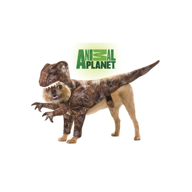 Raptor Animal Planet Halloween Pet Costume (Multiple Sizes Available ...