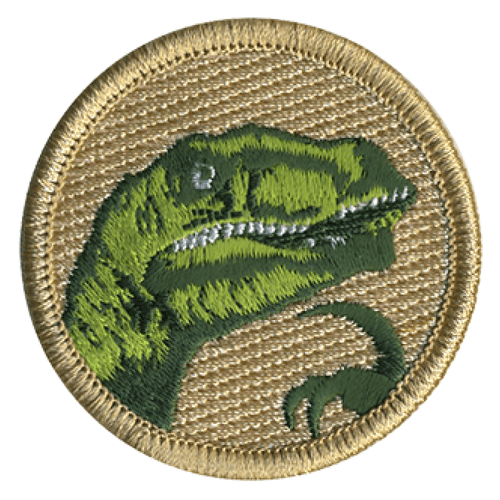 Raptor Meme Scout Patrol Patch (Sew-on) - ClassB - Walmart.com