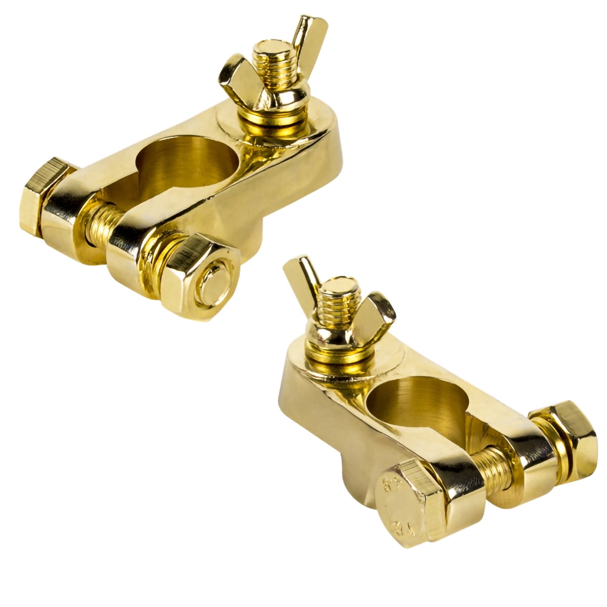 Raptor Positive 0.31 in. Wing Nut Battery Terminal - Pro Series ...