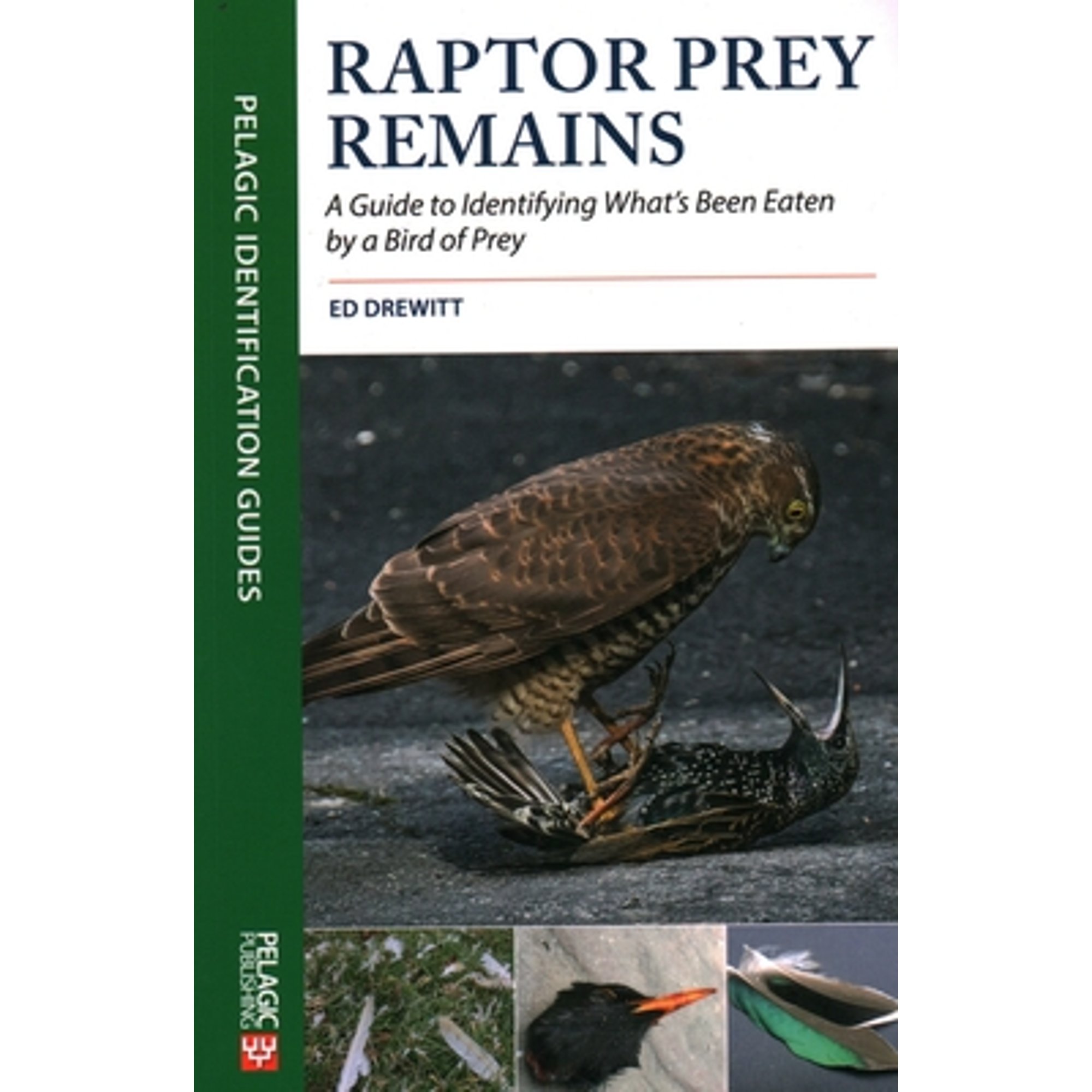 Pre-Owned Raptor Prey Remains: A Guide to Identifying What's Been Eaten ...