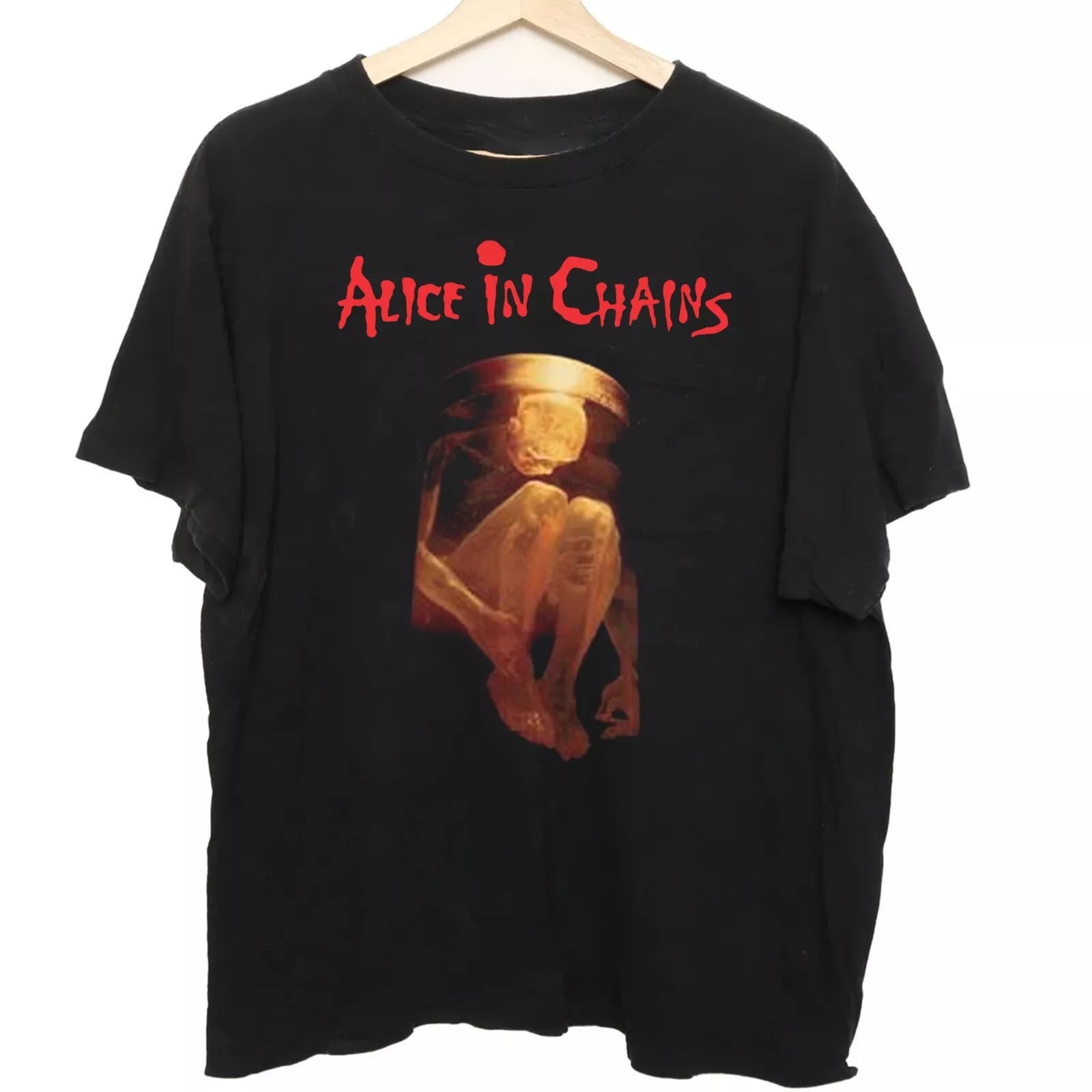Rare Alice In Chains album Gift Funny Men All Size T-Shirt - Walmart.com