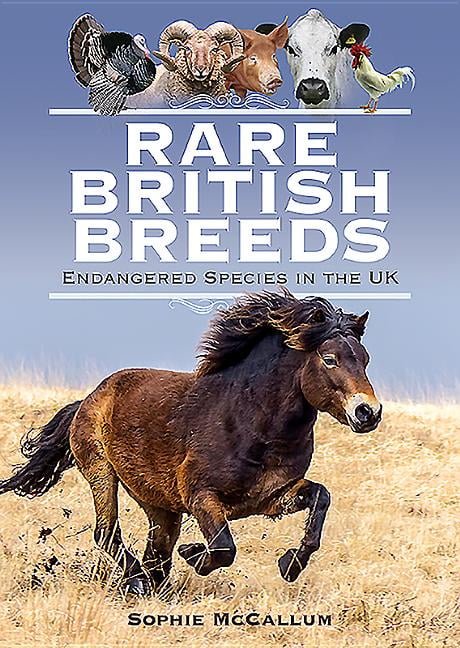 Rare British Breeds Sophie McCallum (Hardcover) - Walmart.com