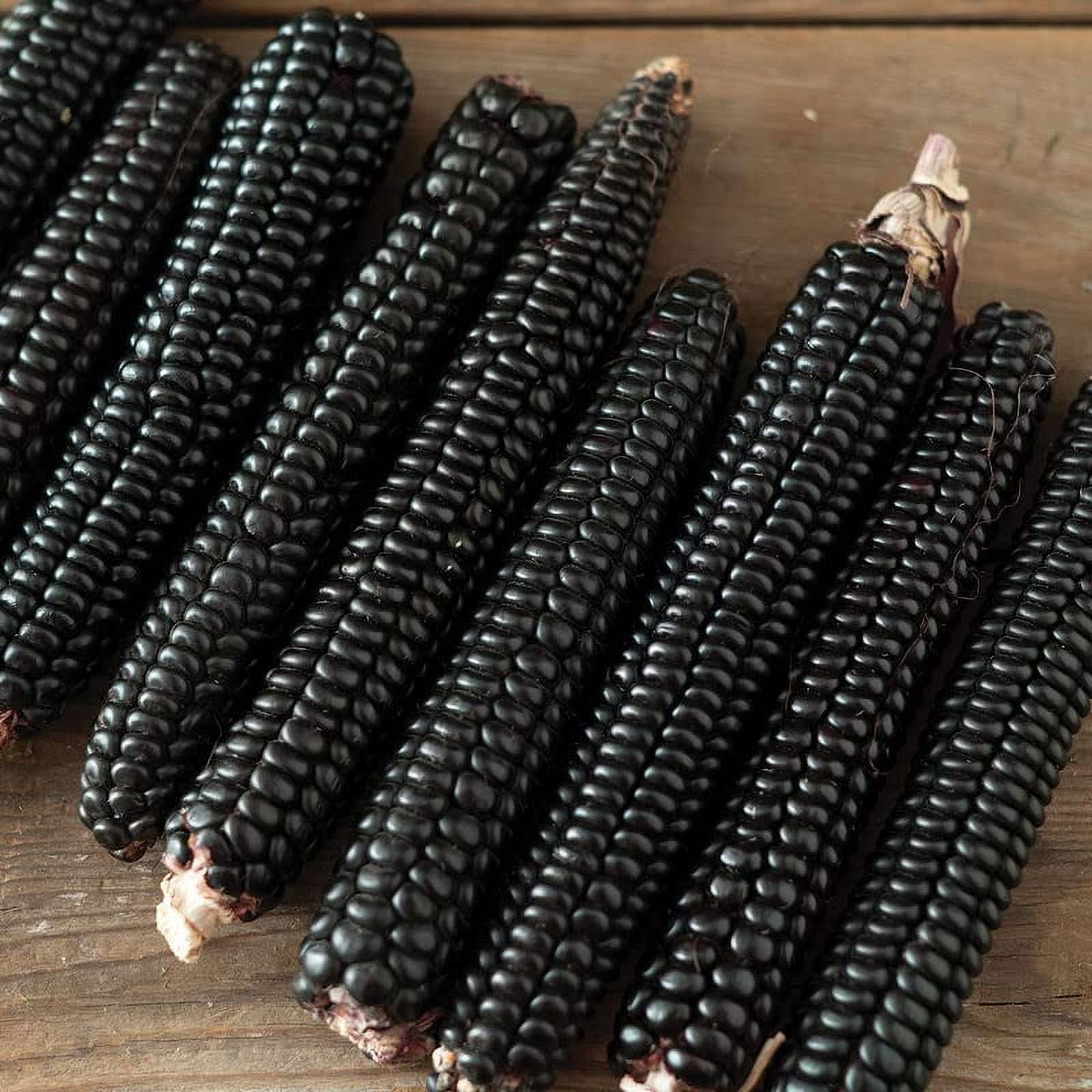 Rare Corn Seeds for Planting - 25 Seeds per Packet - (Black Corn ...