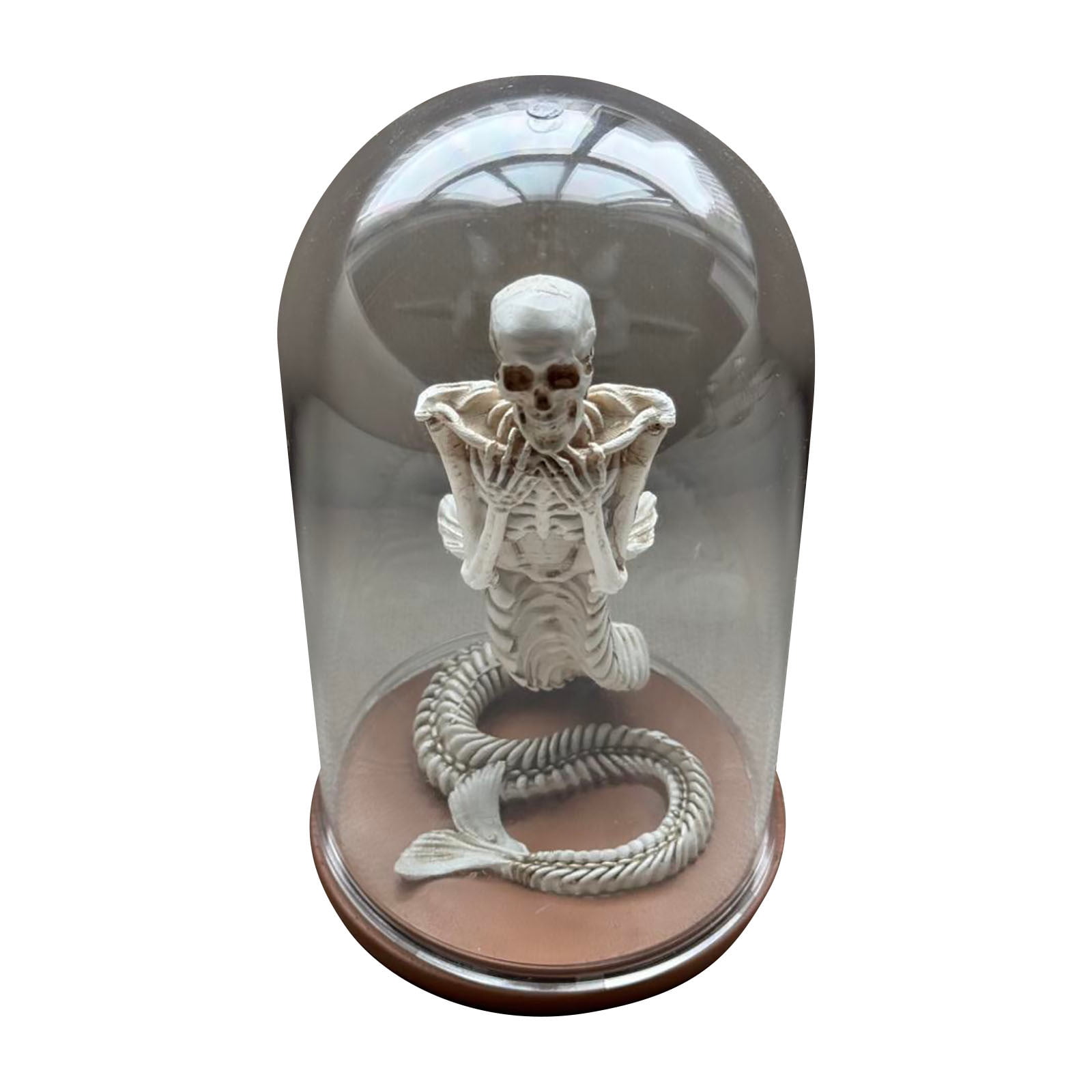 Rare Creatures Skeleton Collection Mermaid Dragon Goats Skeleton ...