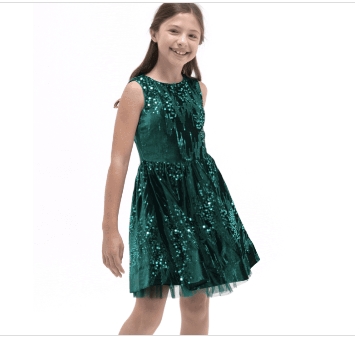 Rare Editions Big Girls Sequin and Velvet Social Dress - Hunter ...