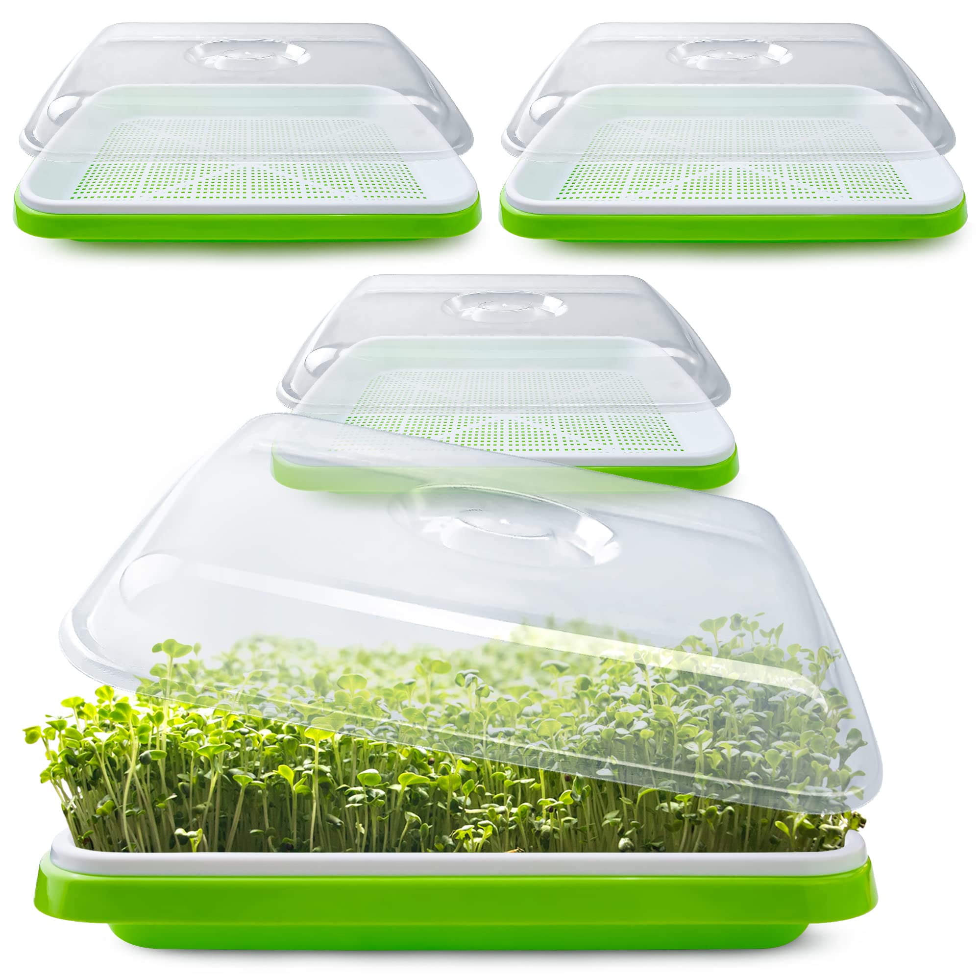 UCandy Seed SprouterUMRT Tray with Drain Holes,Seed Germination Tray ...