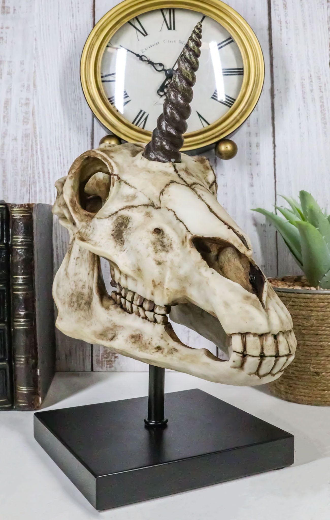 Rare Fossil Unicorn Skull With Sacred Horn Skull Figurine On Museum ...