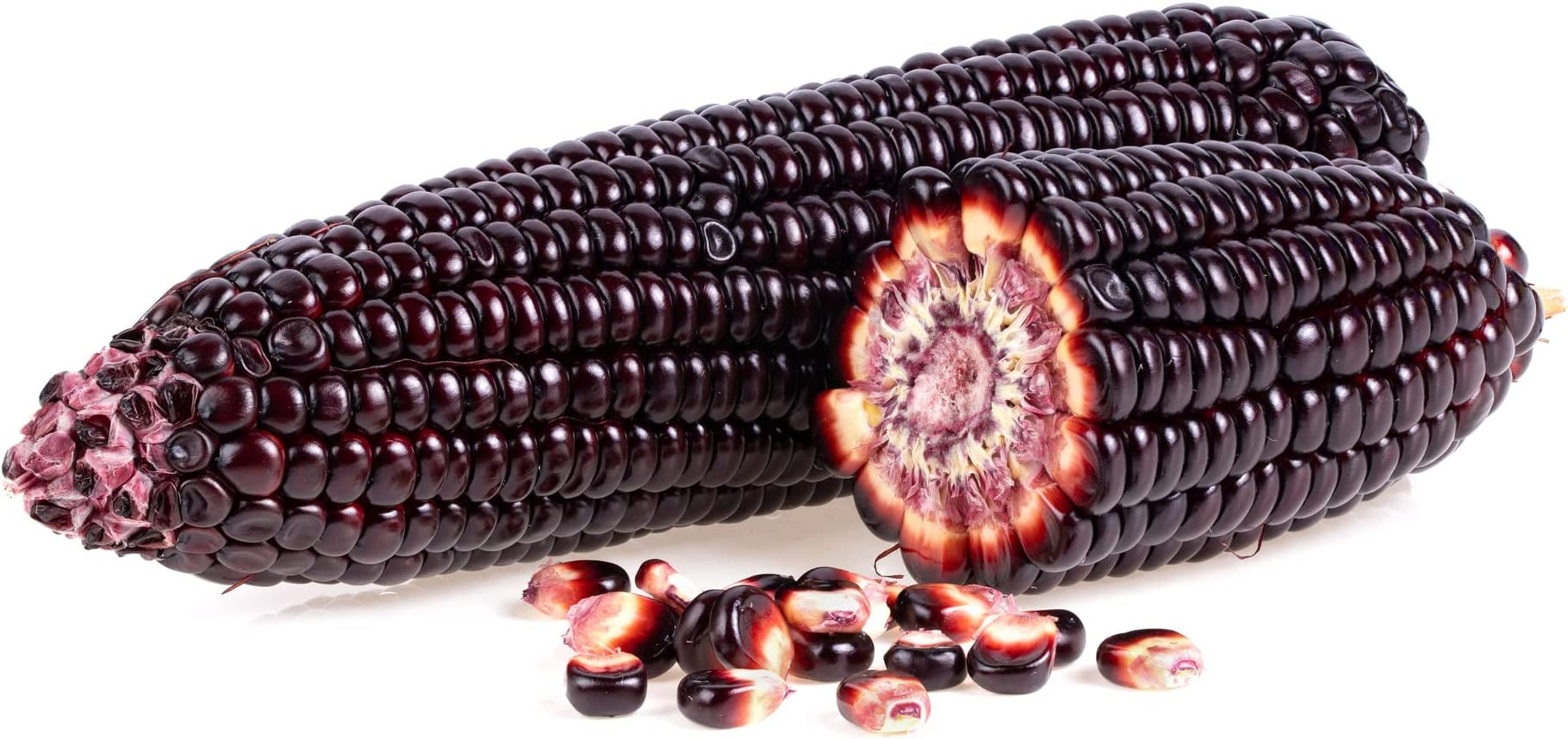 Rare Purple Popcorn Seeds for Planting - 50 Seeds to Grow This Exotic ...