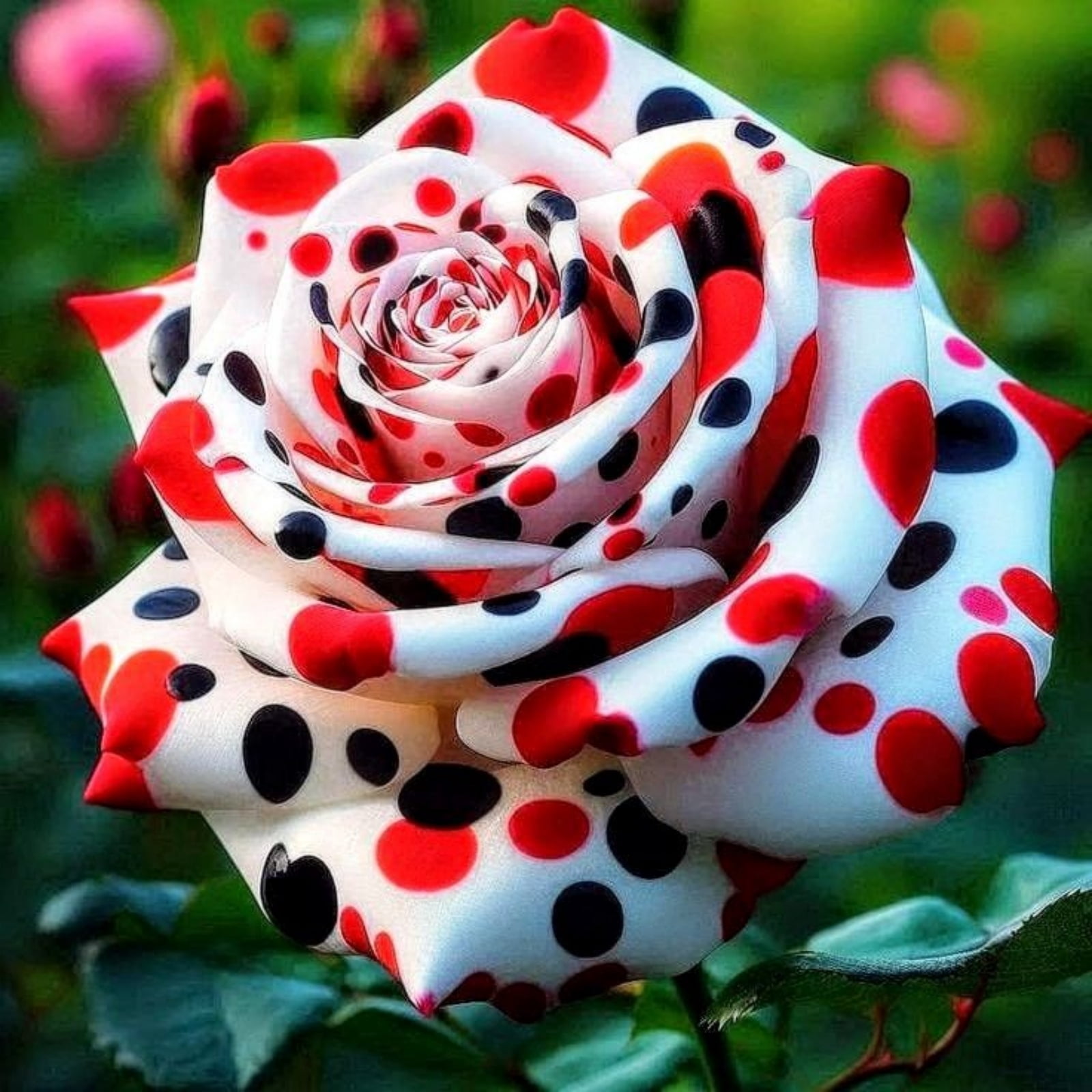 Rare Rose-- Bulk--10 color options --Garden Stake for Outdoor ...