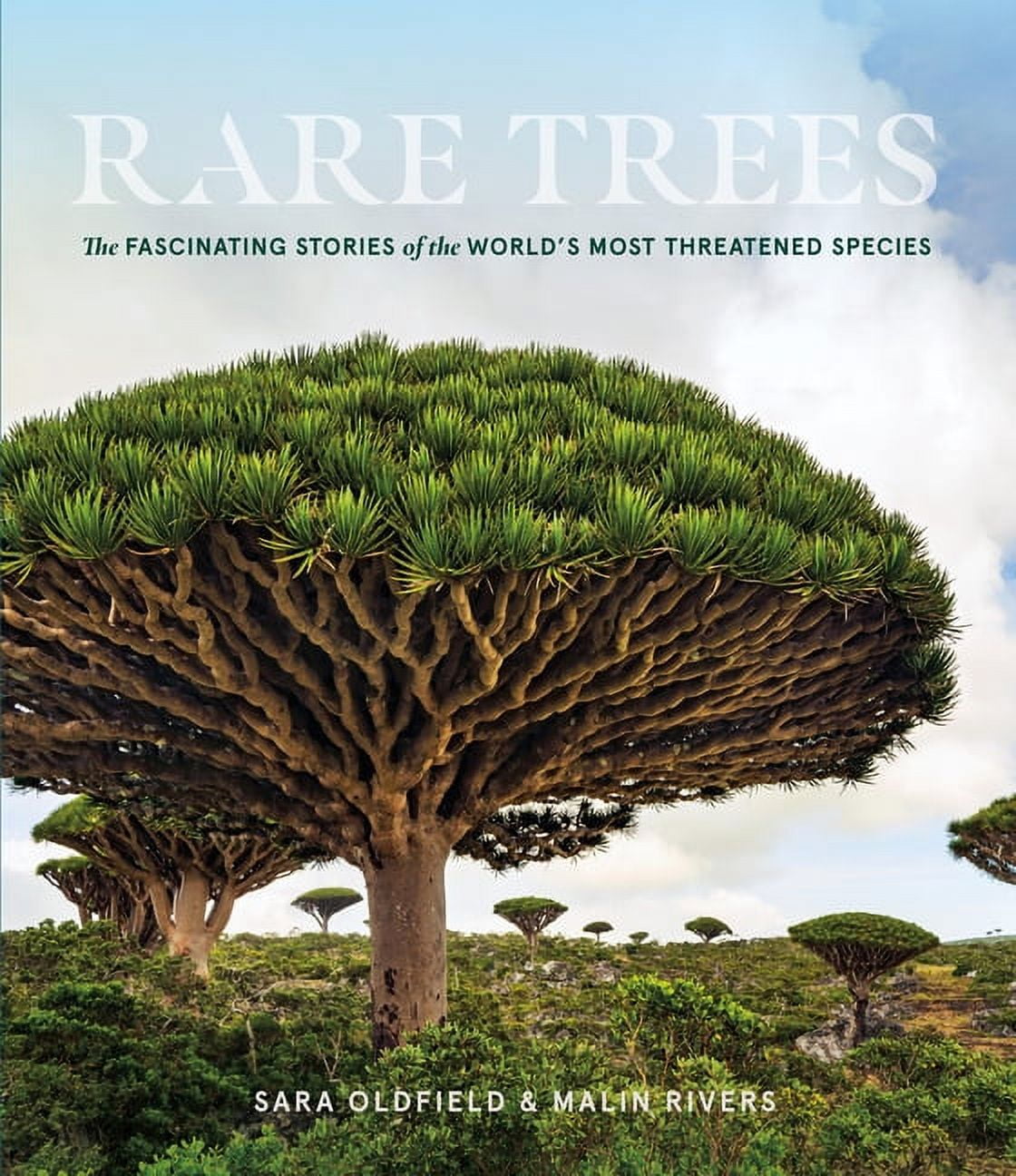 Rare Trees : The Fascinating Stories of the World’s Most Threatened ...