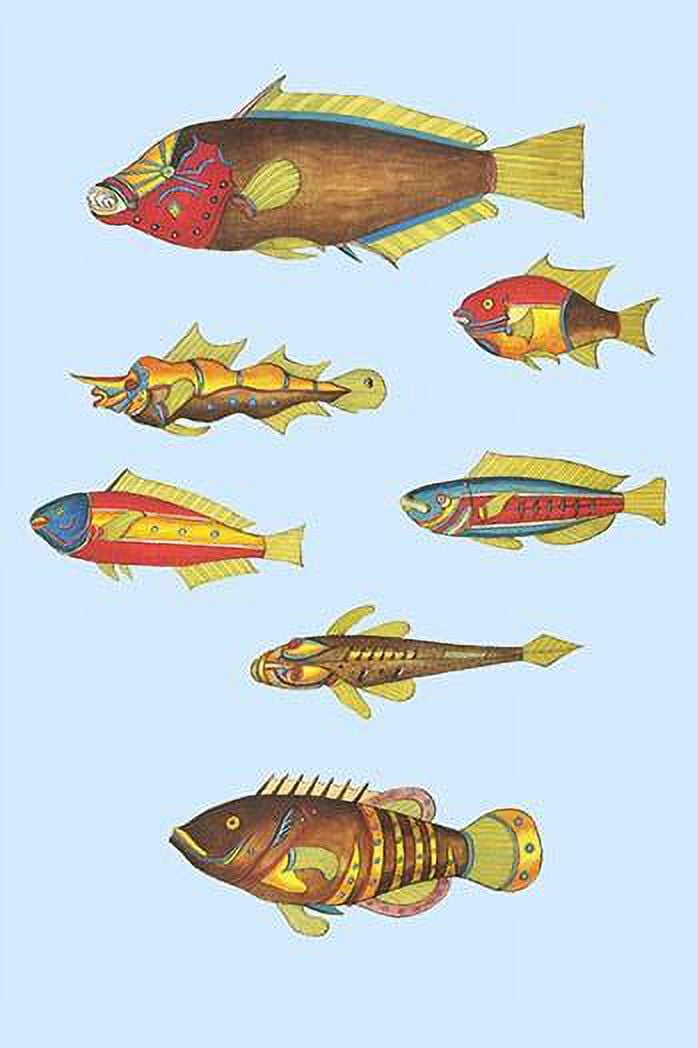 Rare tropical Fish of the East Indies, the Indian Ocean, Ceylon and ...