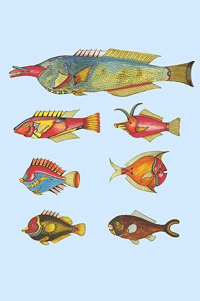 Rare tropical Fish of the East Indies, the Indian Ocean, Ceylon and ...
