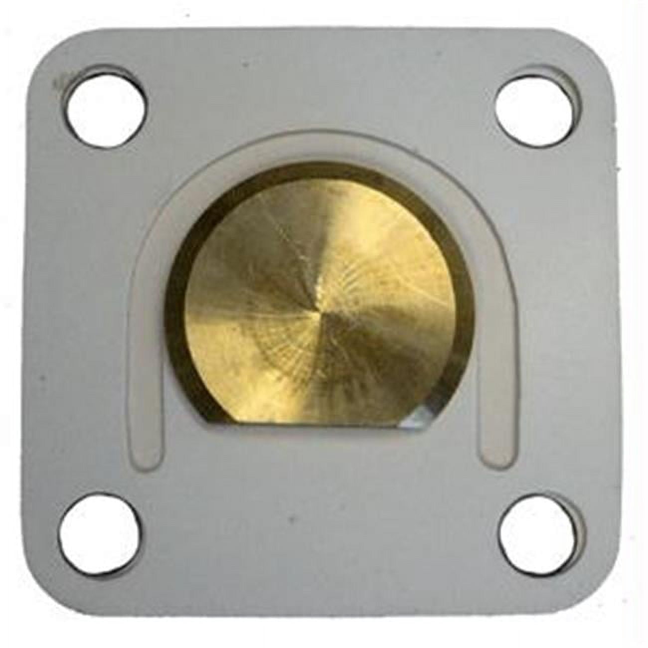 Raritan Engineering Flapper Valve Assembly for PHII and PHEII - Walmart.com