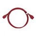 Raritan SecureLock power cable - 6 ft - Walmart.com