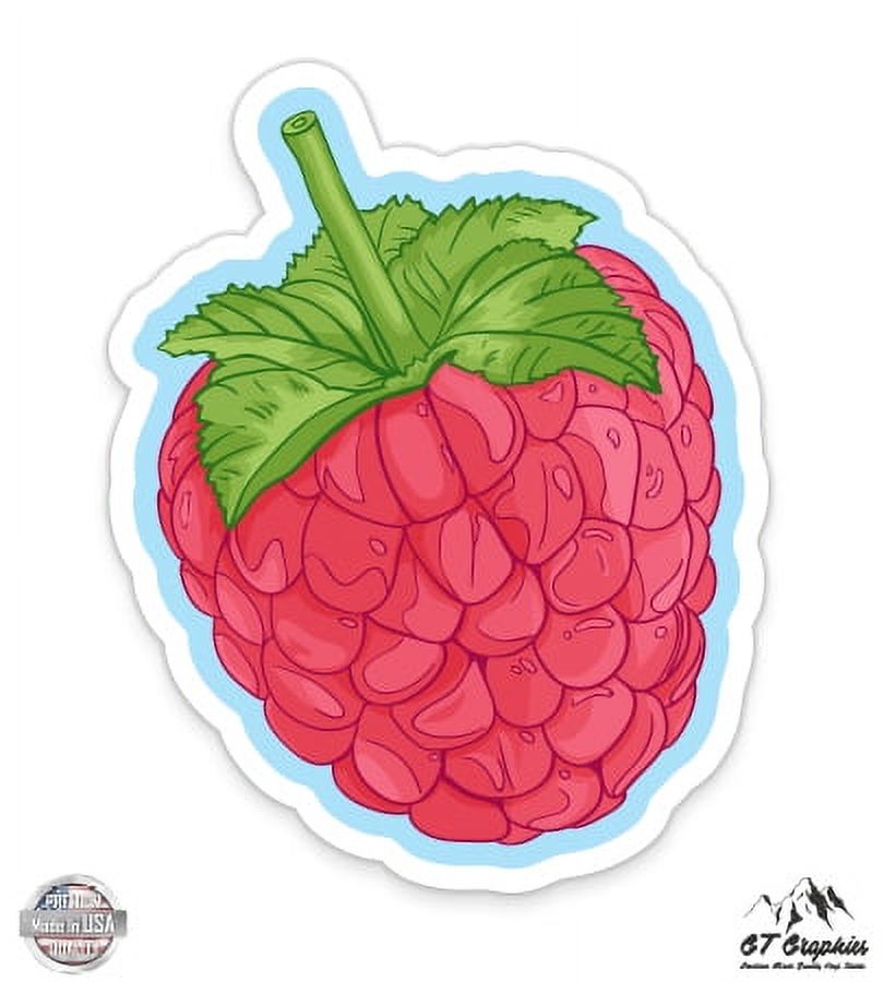 Rasberry - 12" Vinyl Sticker Waterproof Decal - Walmart.com