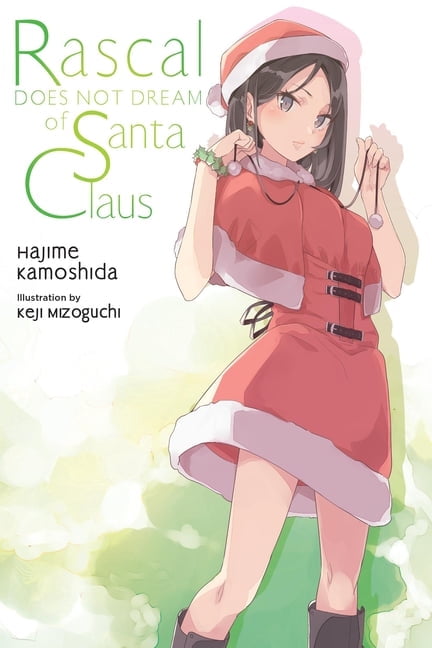 Rascal Does Not Dream (Light Novel) Rascal Does Not Dream of Santa ...