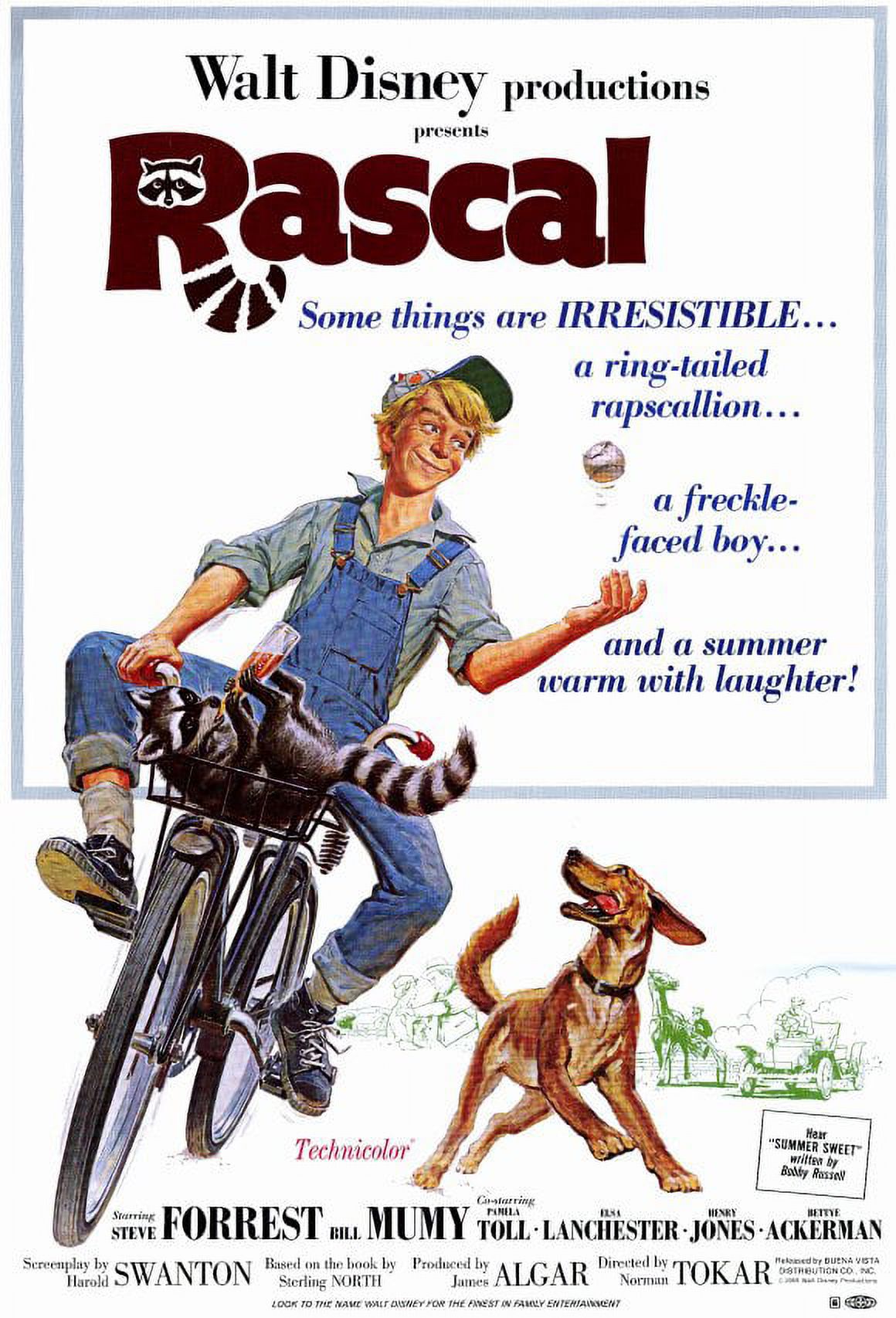 Rascal - movie POSTER (Style A) (11" x 17") (1969) - Walmart.com