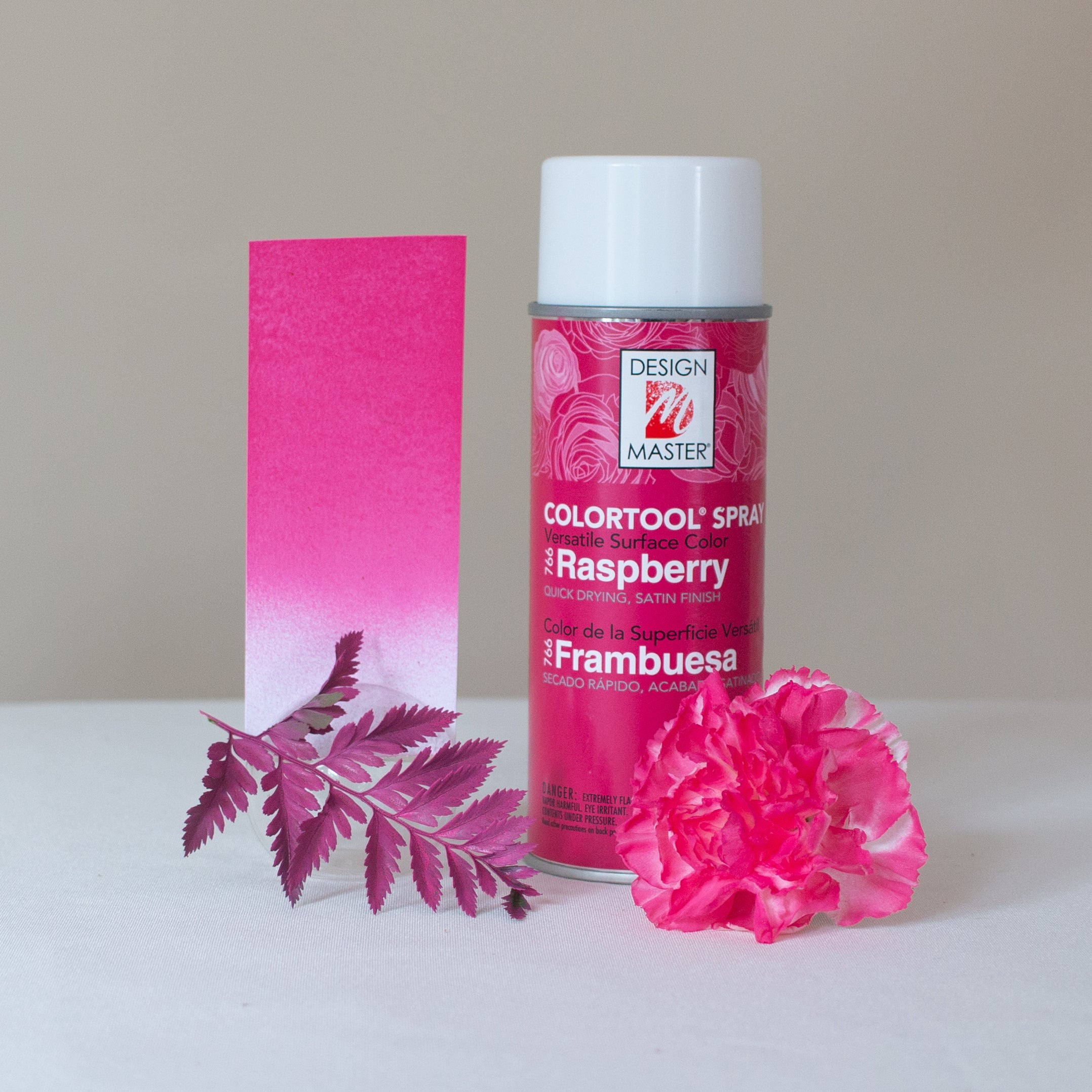 Raspberry Design Master Colortool Floral Spray Paint - Walmart.com