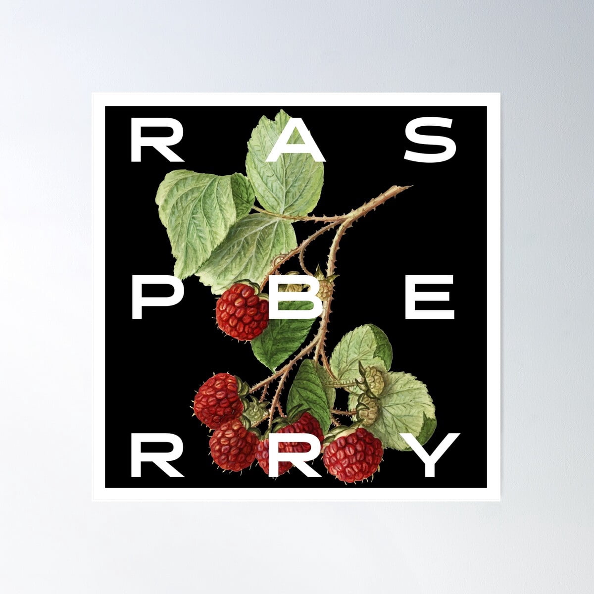 Raspberry Fruit Boxed Typography Poster Wall Art, Modern Wall Decor For ...