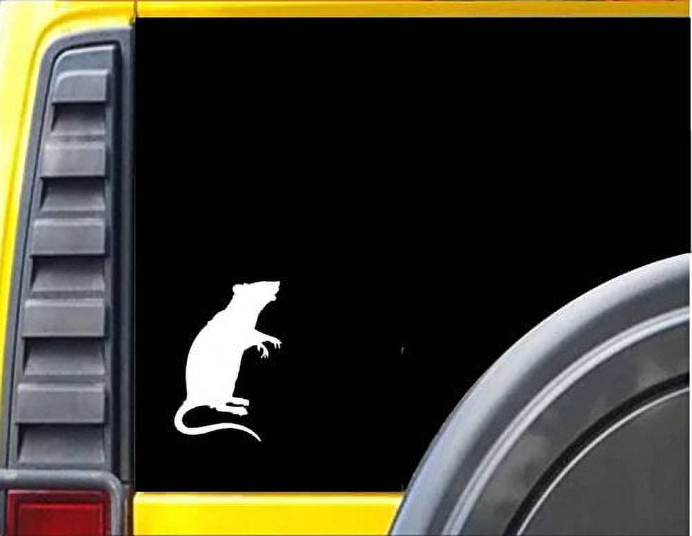 Rat Decal